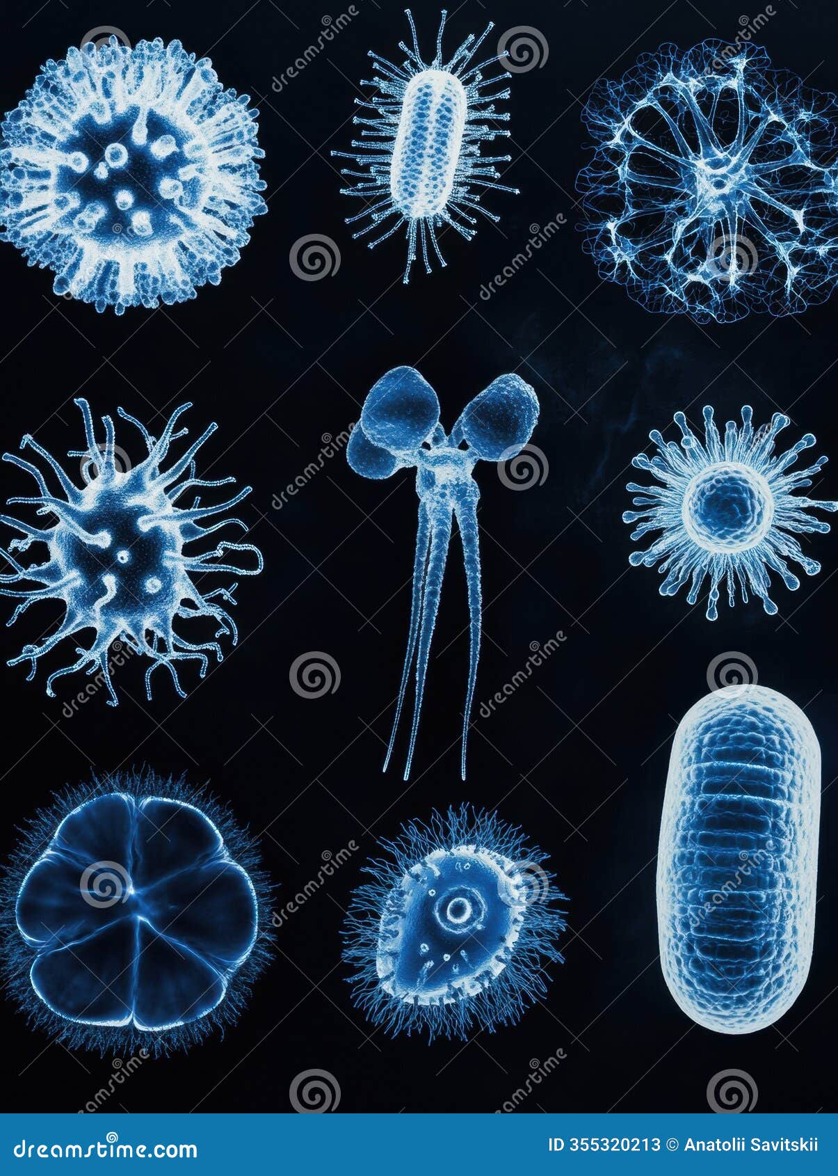 Bacterial Evolution Observed through a Sequence Illustrating Diverse ...