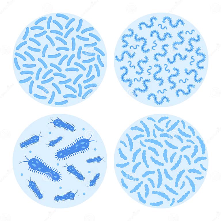Bacterial Flora In Circle Set Different Bacteria Pathogenic Microorganisms And Normal