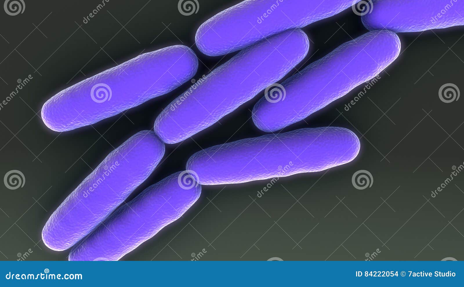 Process Of Bacterial Fission. Reproduction. Royalty-Free Stock Photo ...
