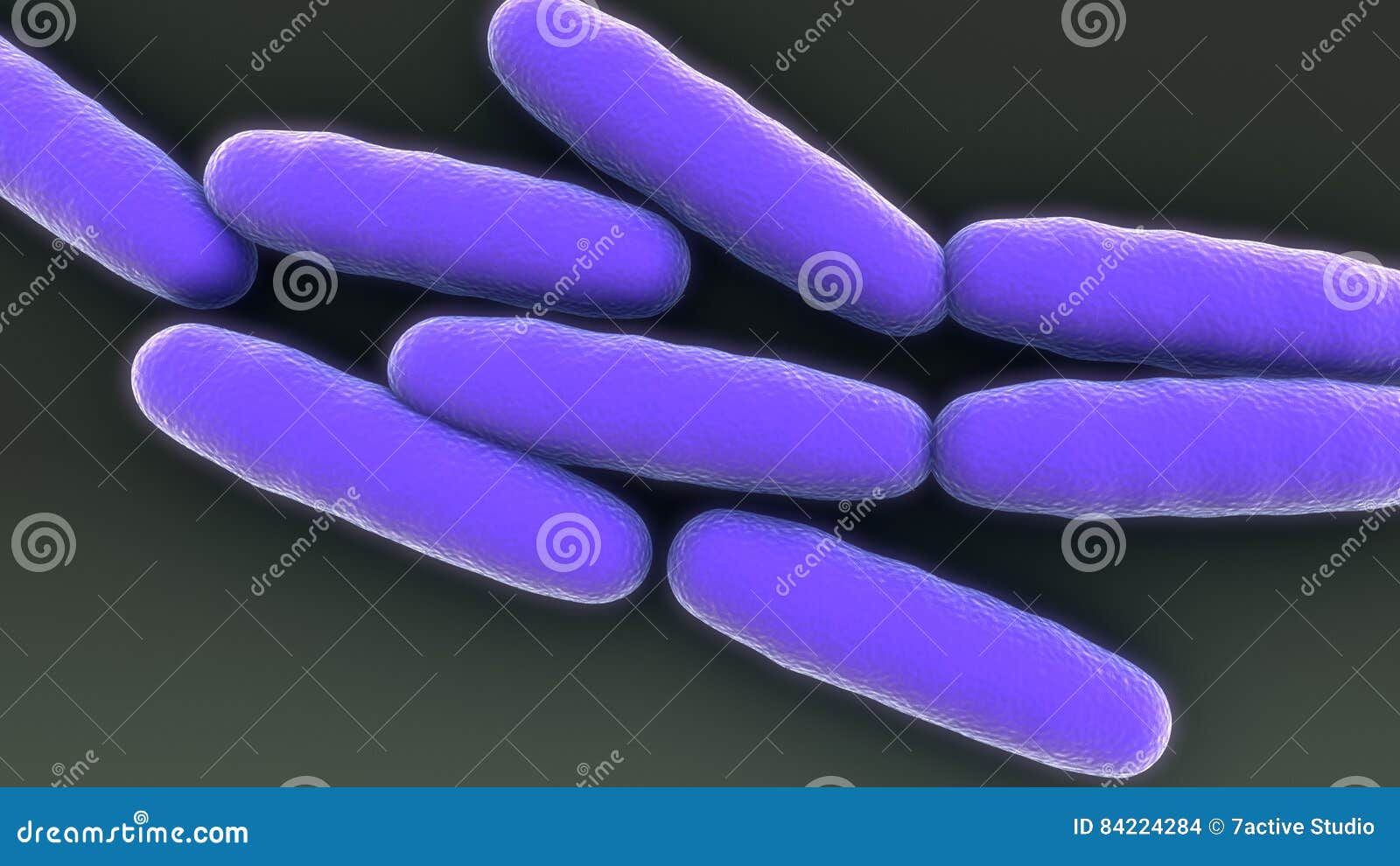 Bacterial growth stock illustration. Illustration of hpylori - 84224284
