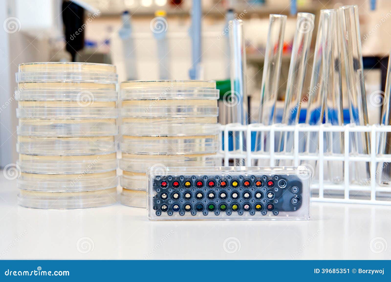 Bacterial Identification Test Stock Image - Image of microbiology ...