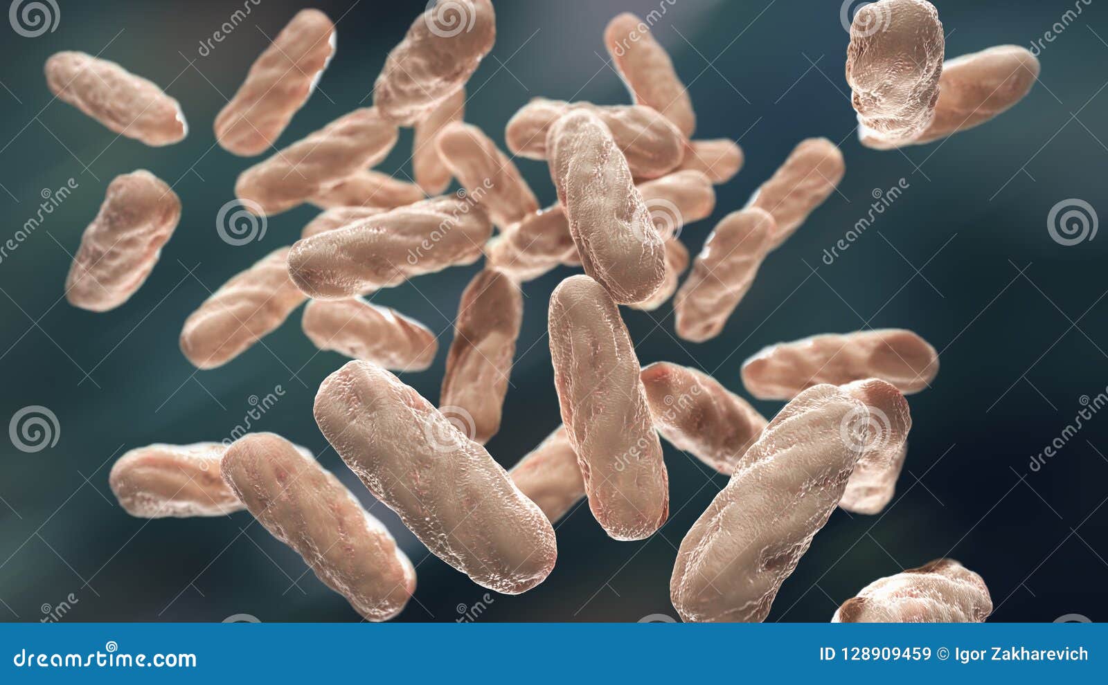 Bacterial Infection Of The Female Organs Vector Illustration ...