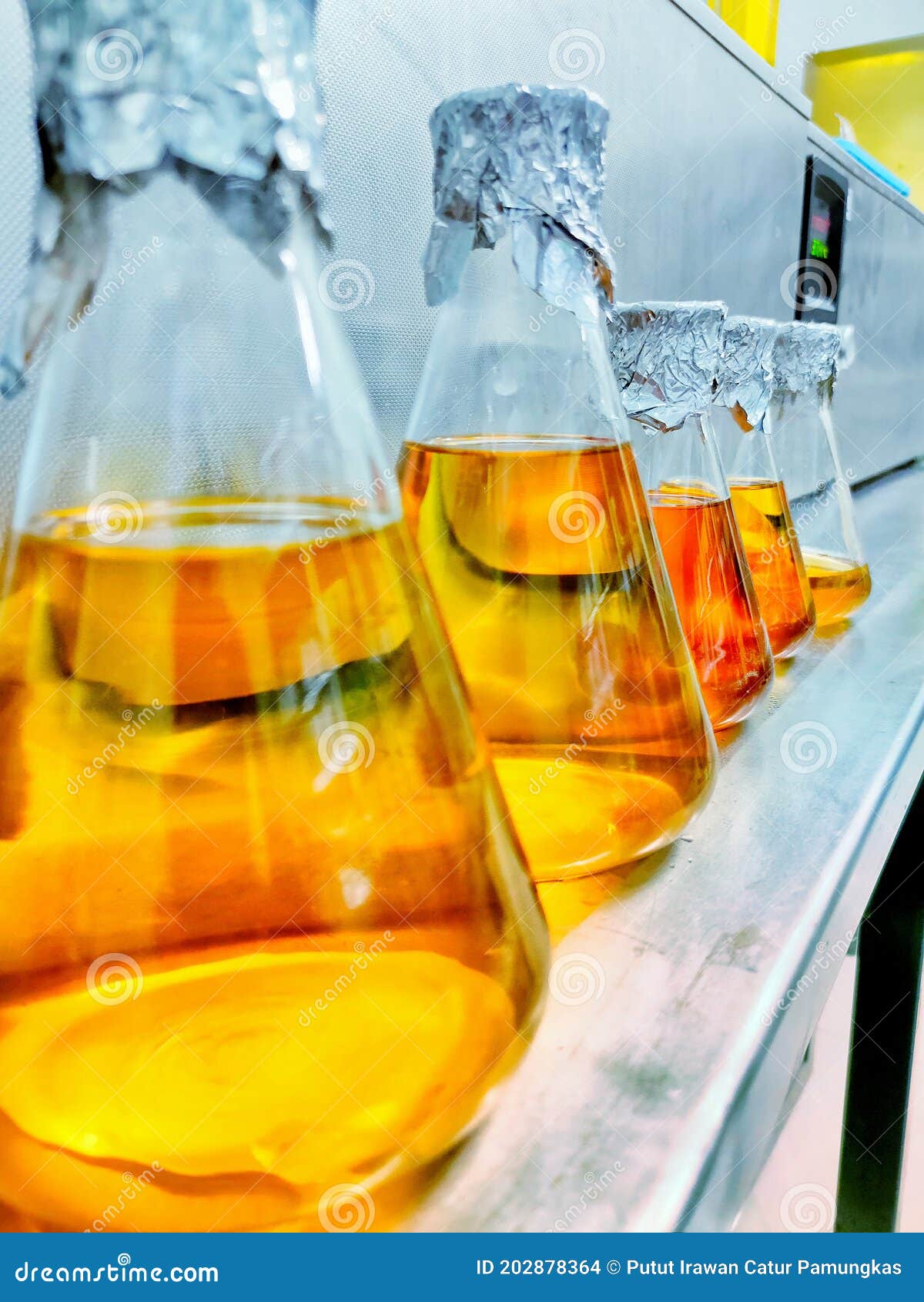 Bacterial Media in Erlenmeyer Stock Photo - Image of bottle, bacterial ...