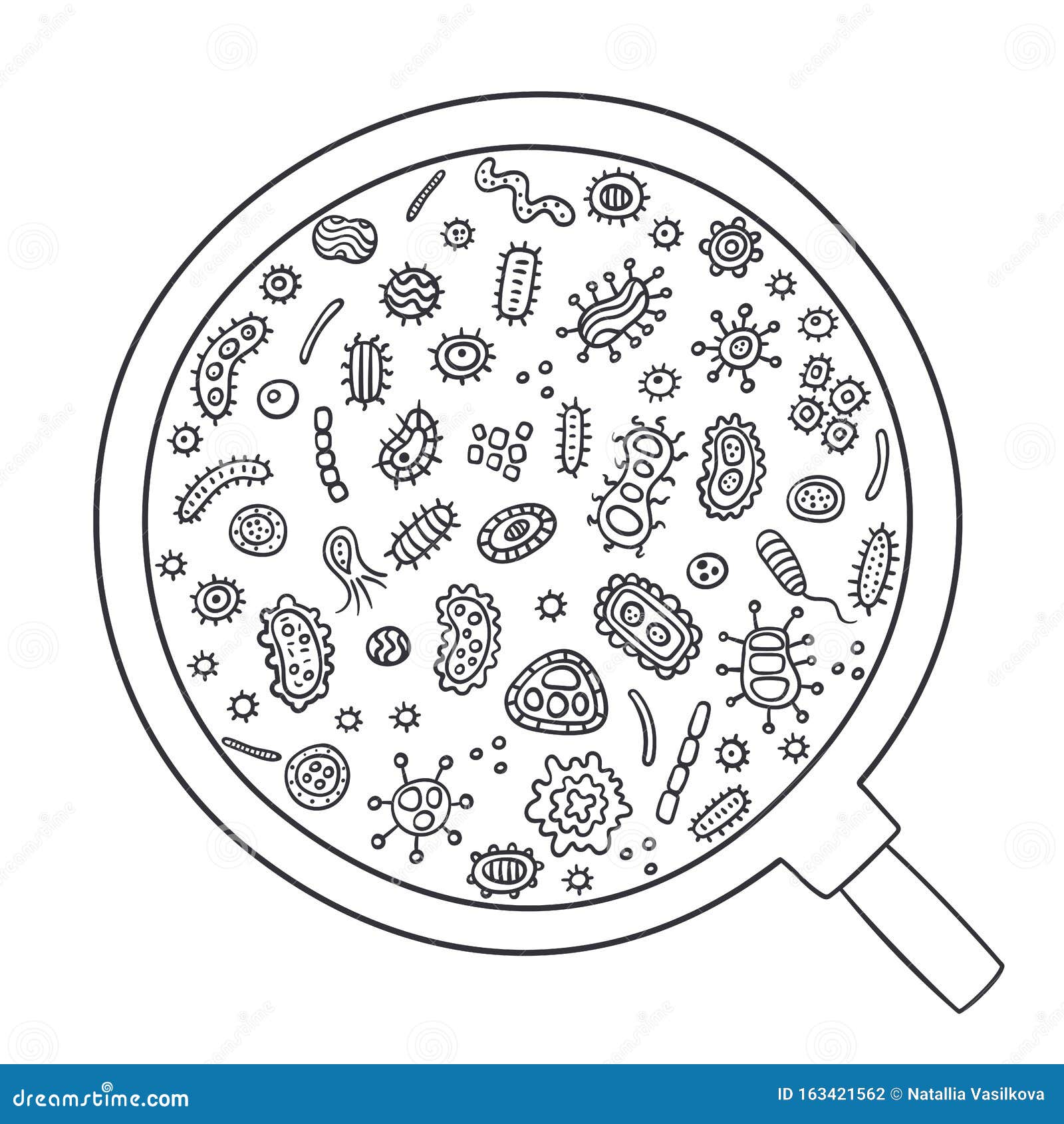 Bacterial Microorganism. Horizontal Border. Vector Illustration ...