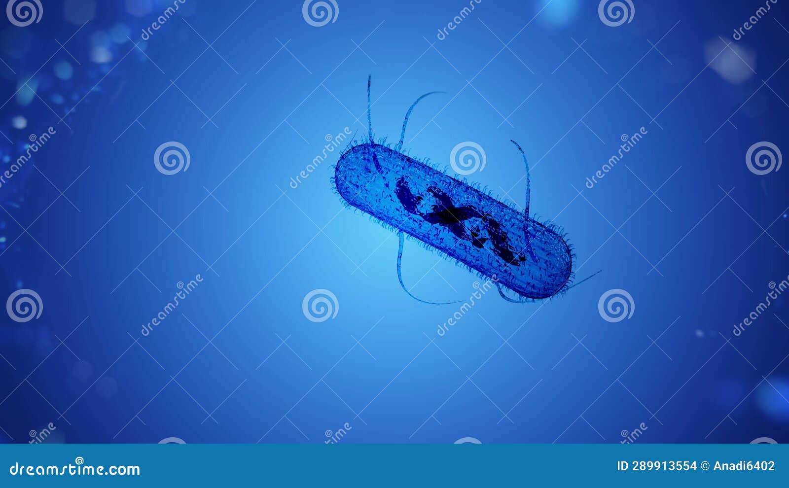 Bacterial Outbreak, Bacterial Infection, Bacteria Cell, Stock Footage ...
