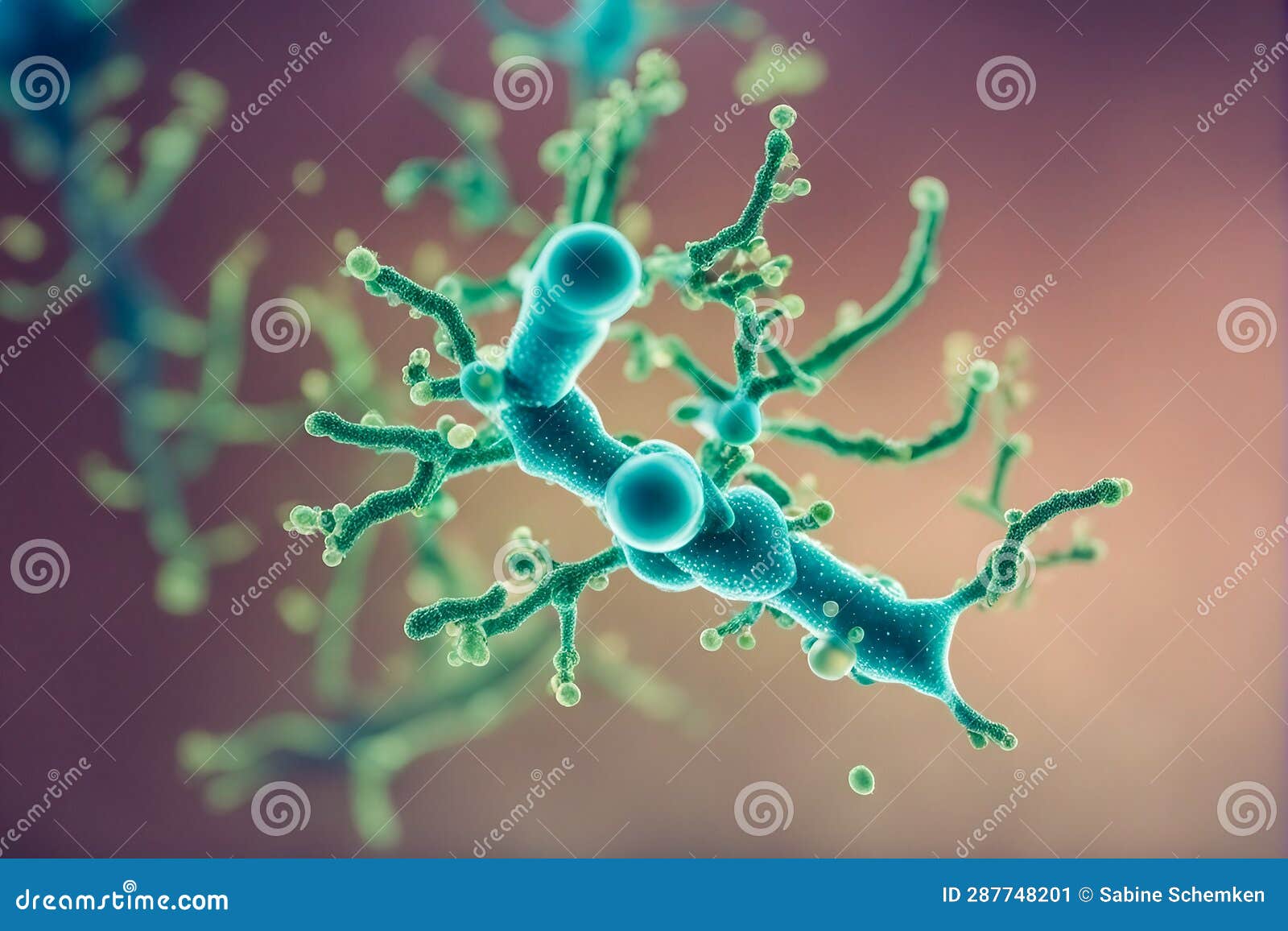 Bacterial Pathogens,Bacterial Colony, and Microorganisms Stock ...