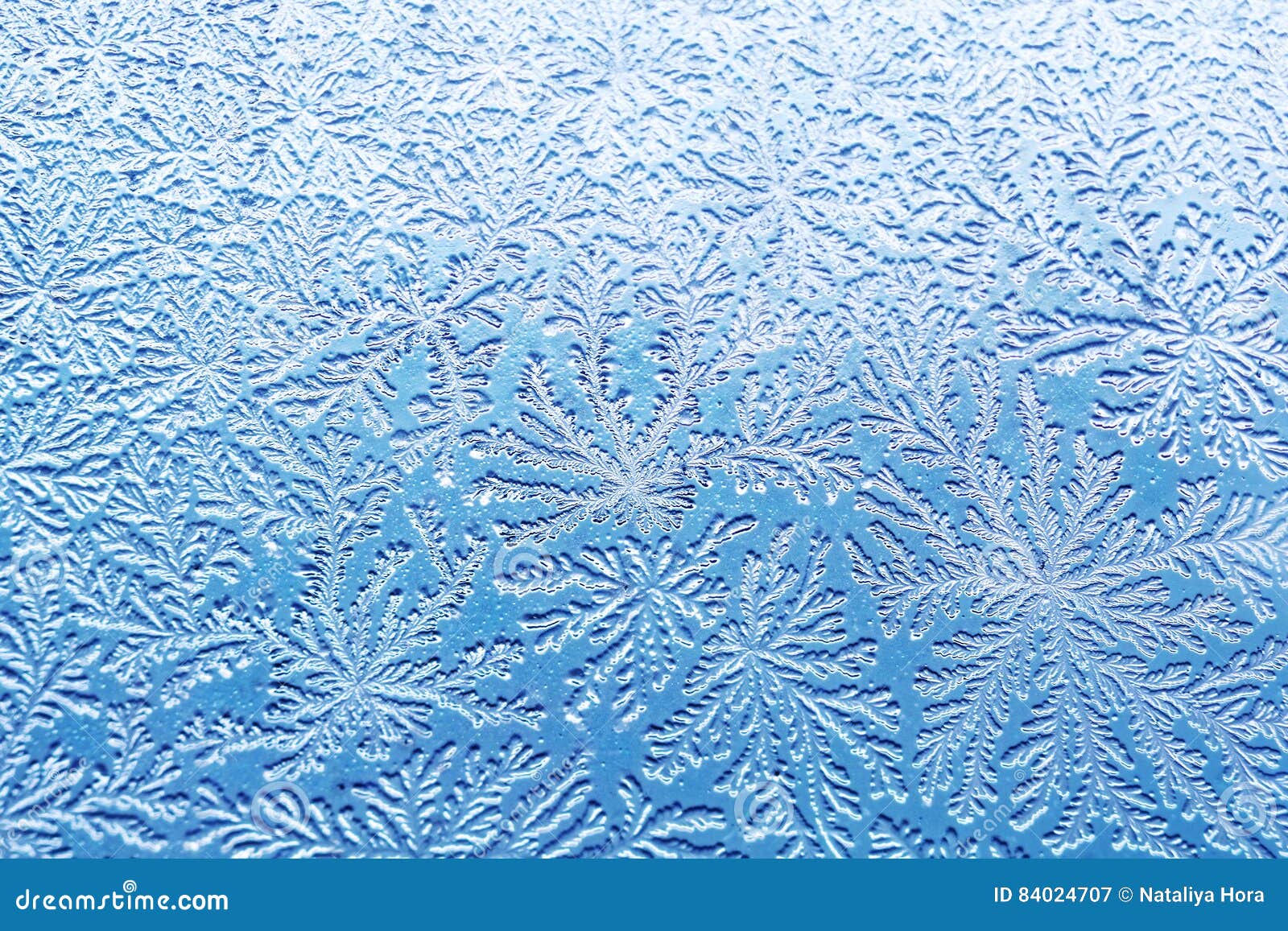 Bacterial Pattern Like a Frost Stock Image - Image of coli, medical ...