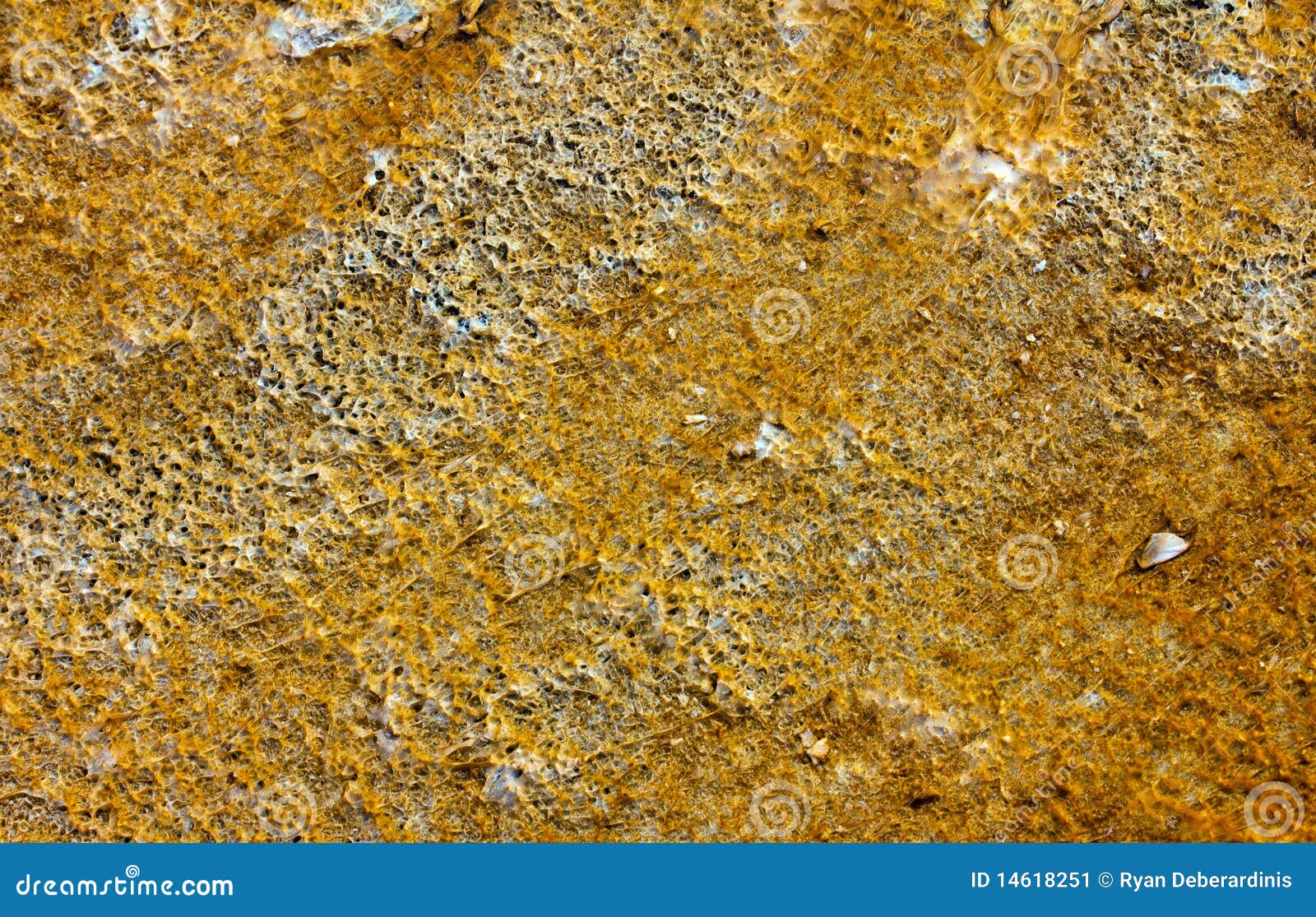 Bacterial Texture stock image. Image of orange, grunge - 14618251