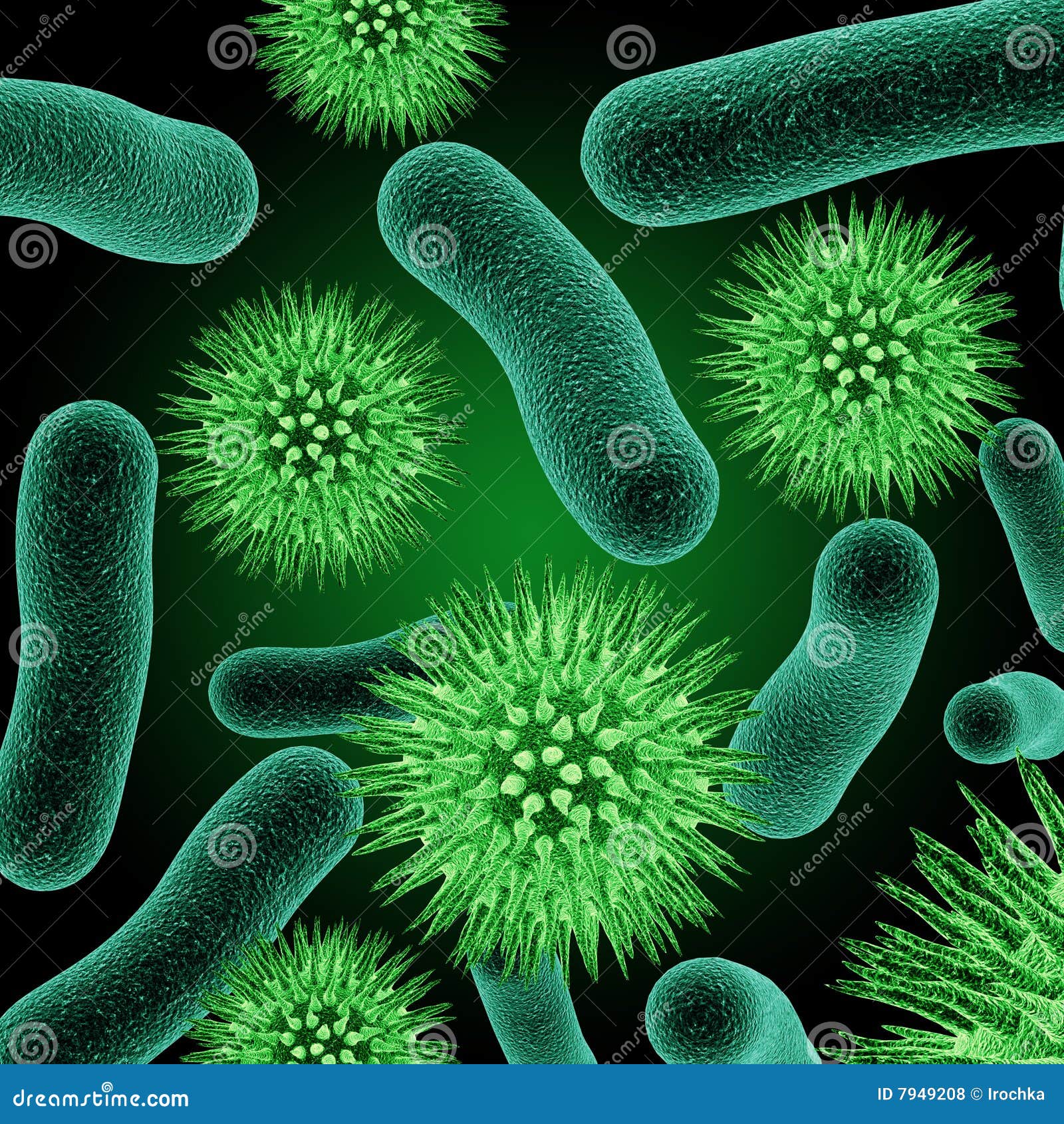 Bacterias; Bacteria; Eubacteria; Eubacterias