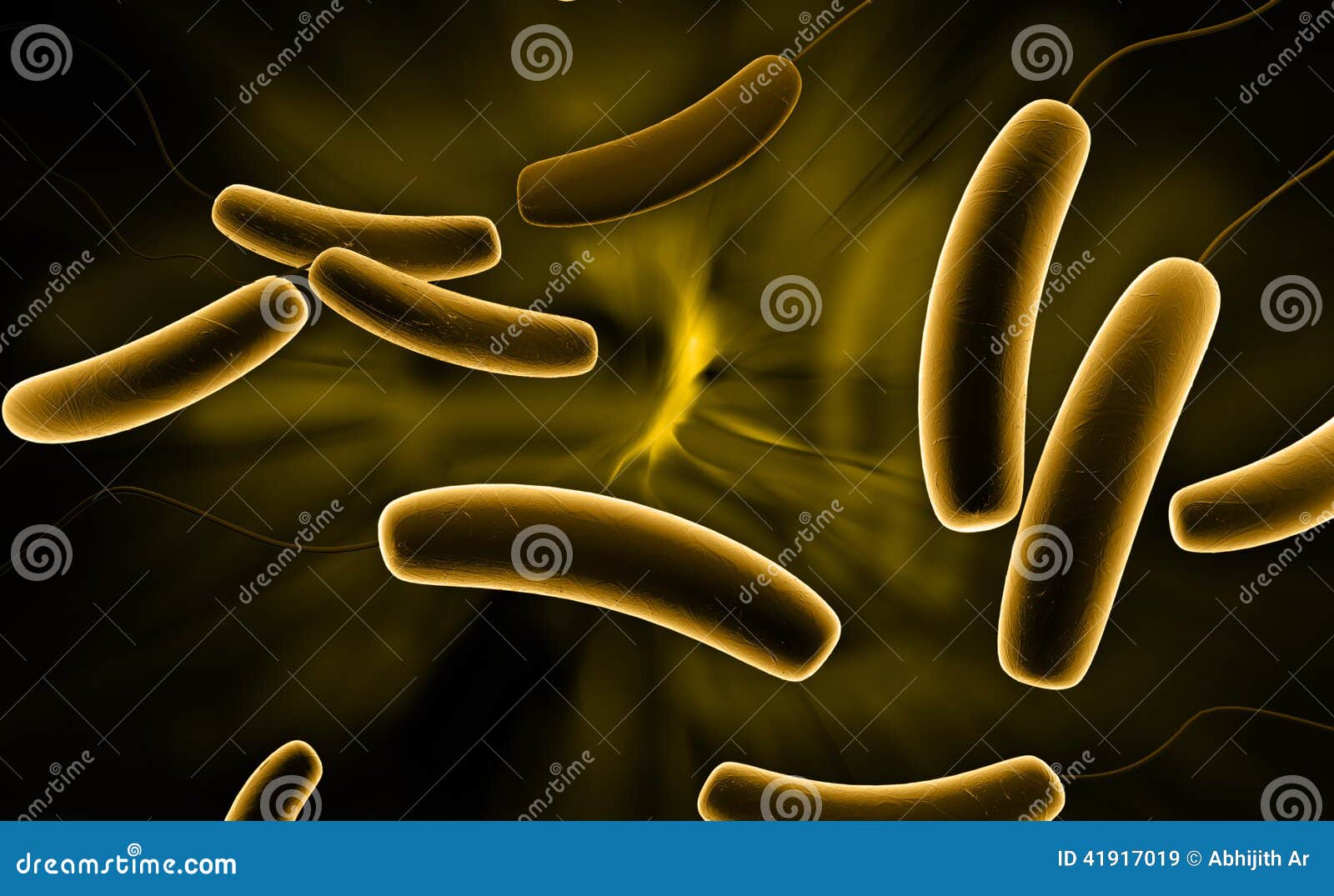 Bacterias De Escherichia Coli Stock de ilustración - Ilustración de ...