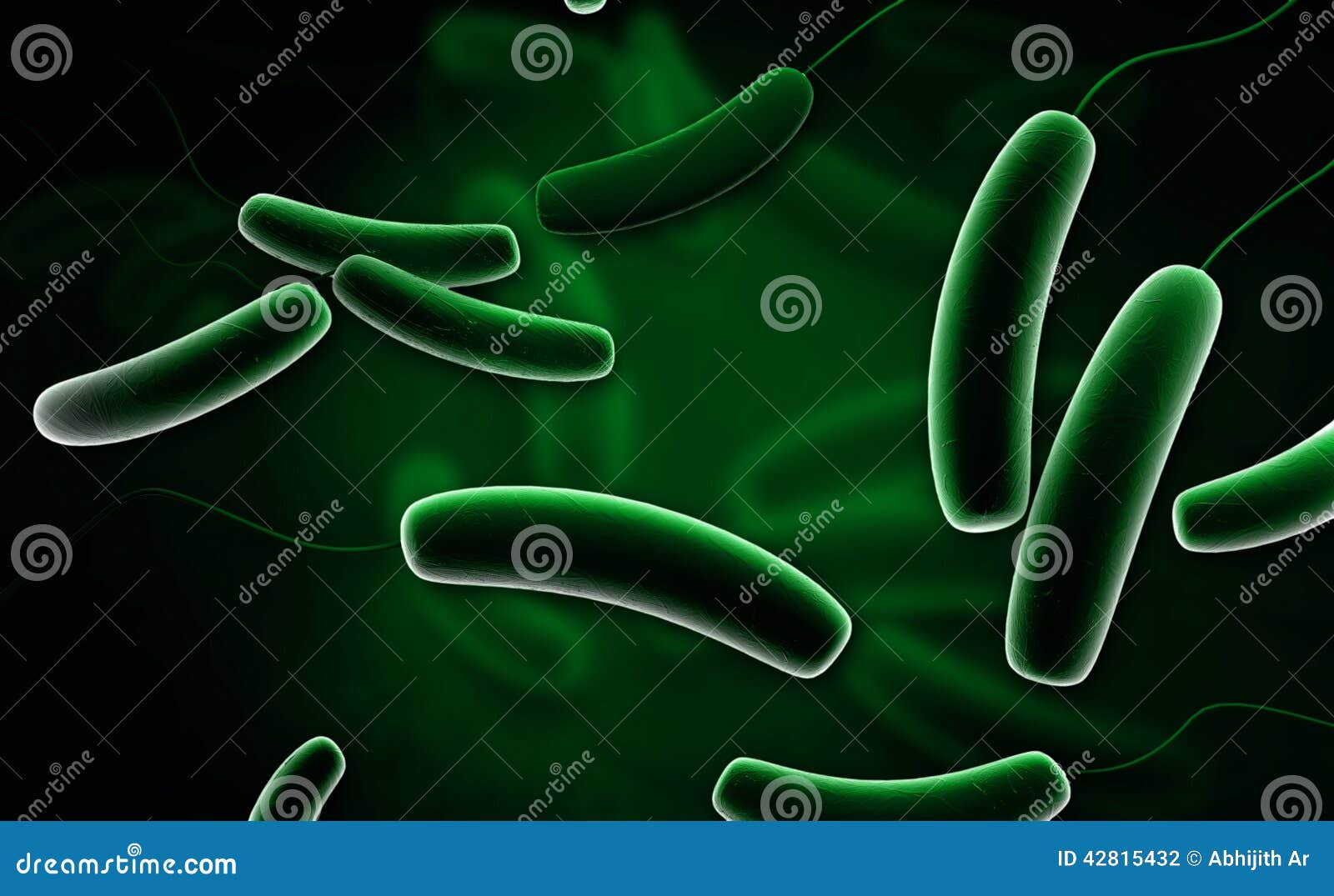 Bacterias De Escherichia Coli Stock de ilustración - Ilustración de ...