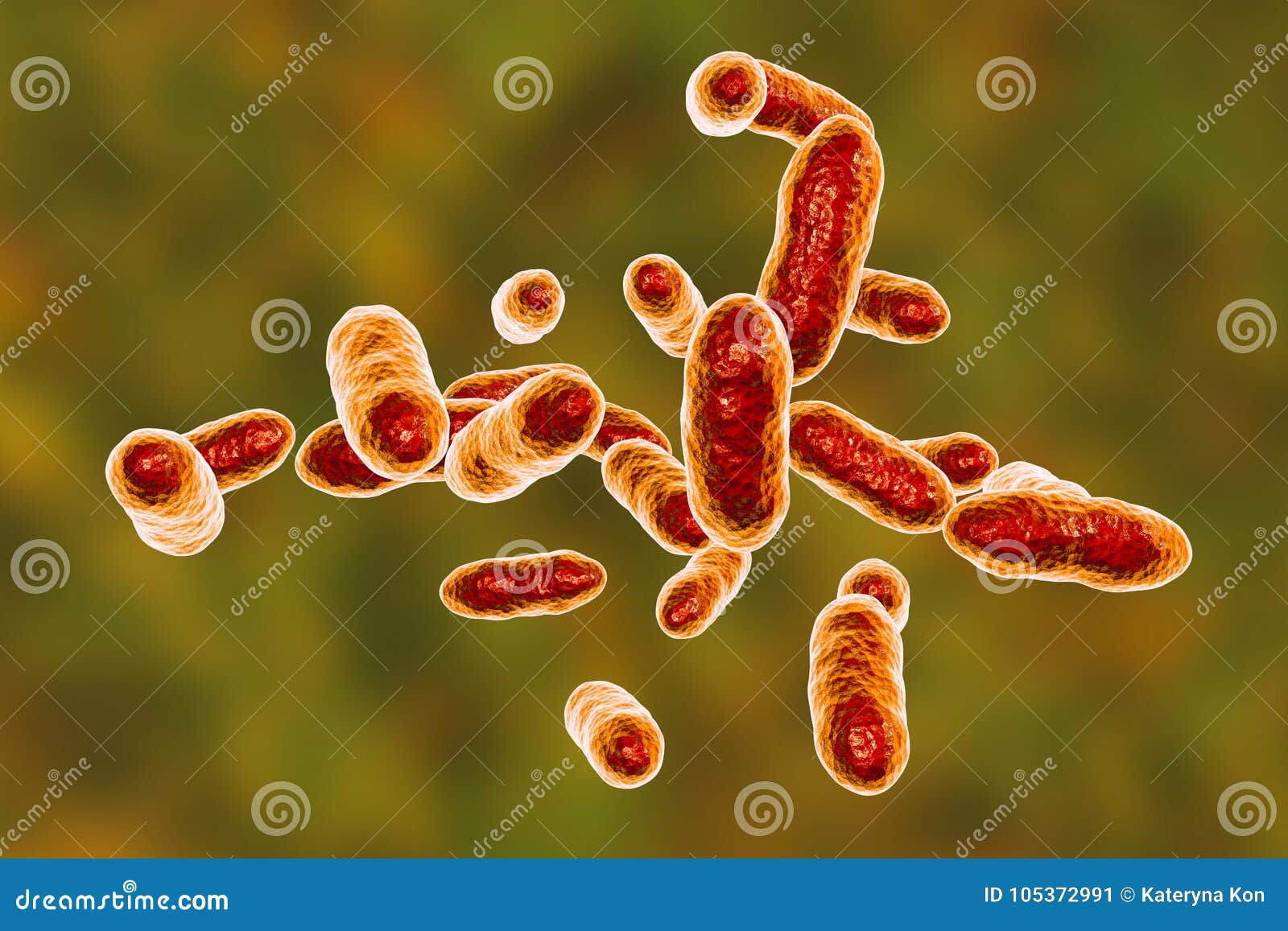 Bacterias De La Forsythia De Tannerella Stock de ilustración ...