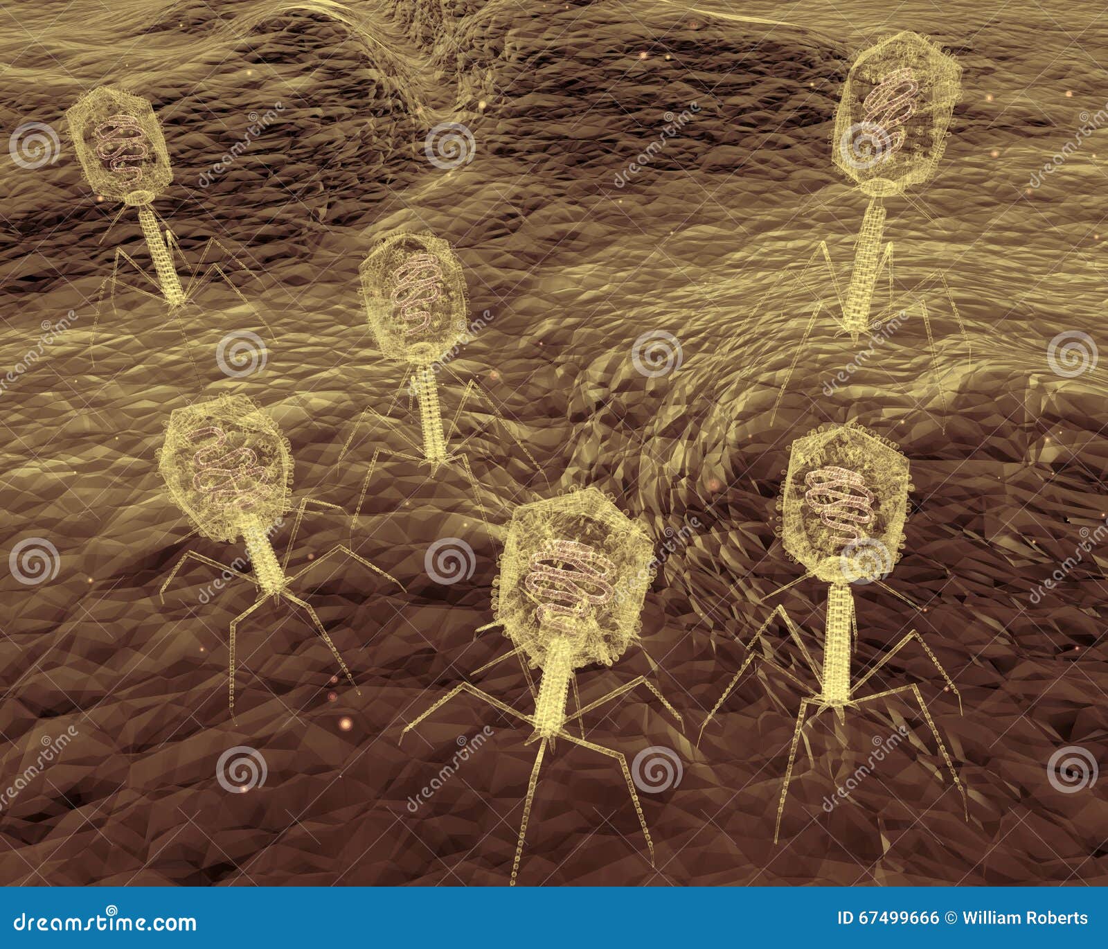 Bacteriofago De Microscopio Eletronico