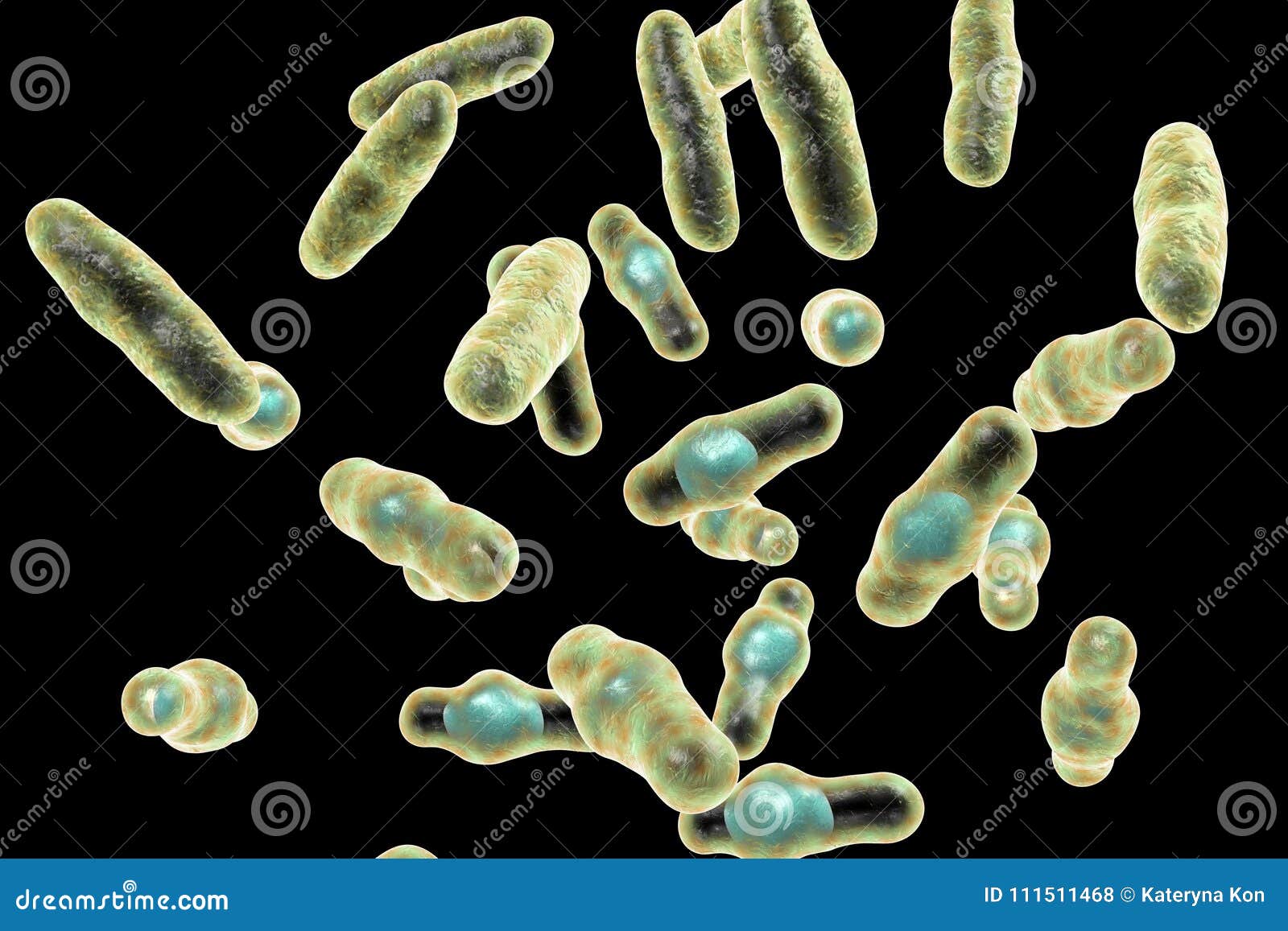 Bacterias De Perfringens Del Clostridium Stock De Ilustración