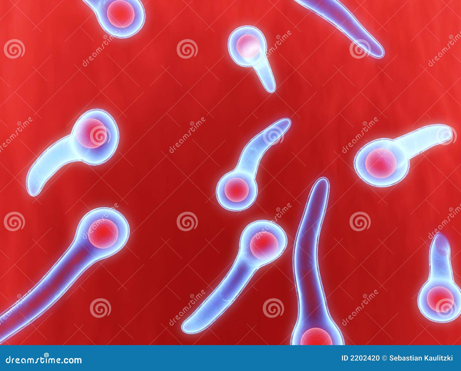 Bacterias del tétanos stock de ilustración. Ilustración de infectado - 2202420