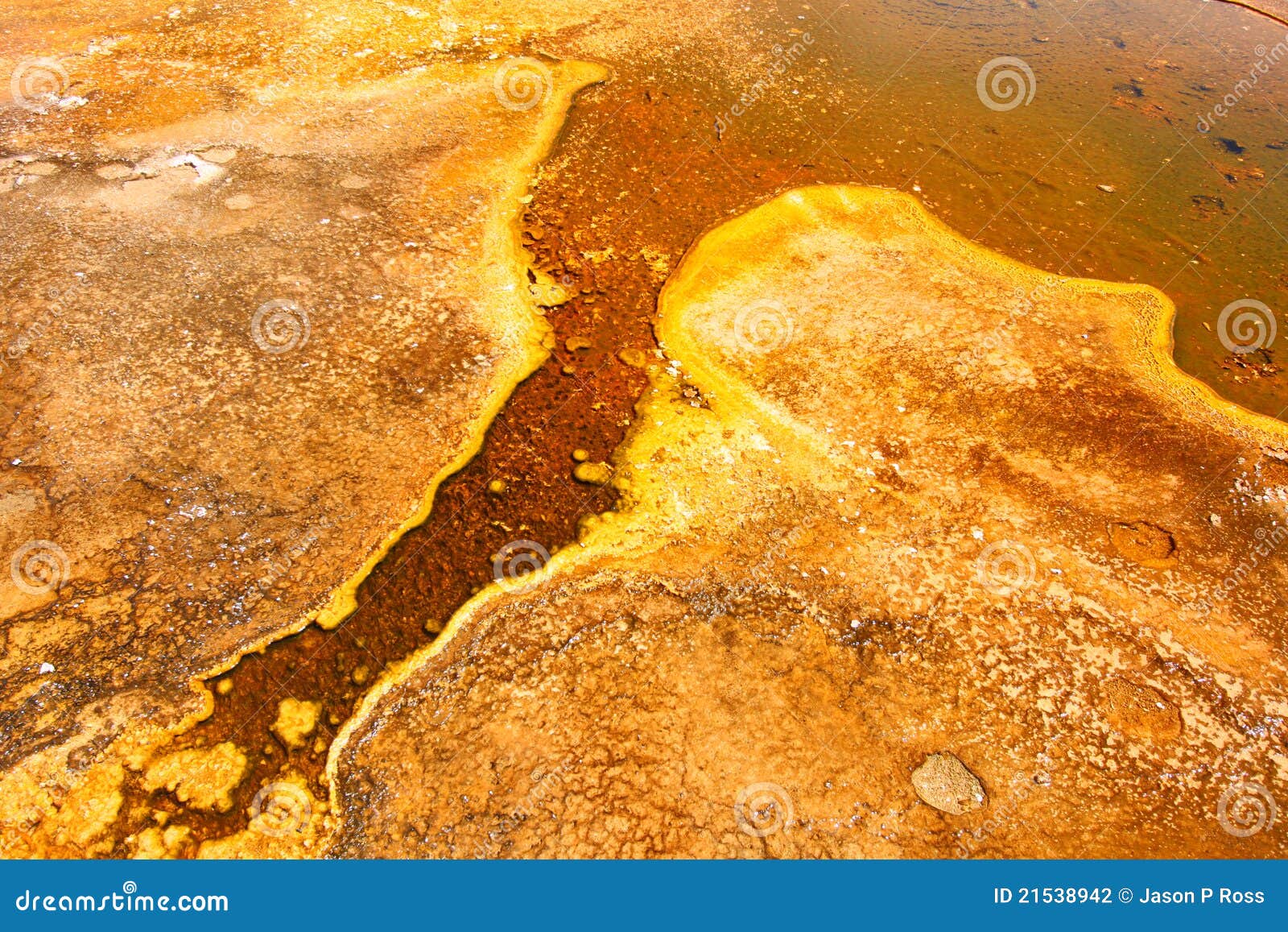 Bacterias Termófilas En Yellowstone Foto de archivo - Imagen de ...