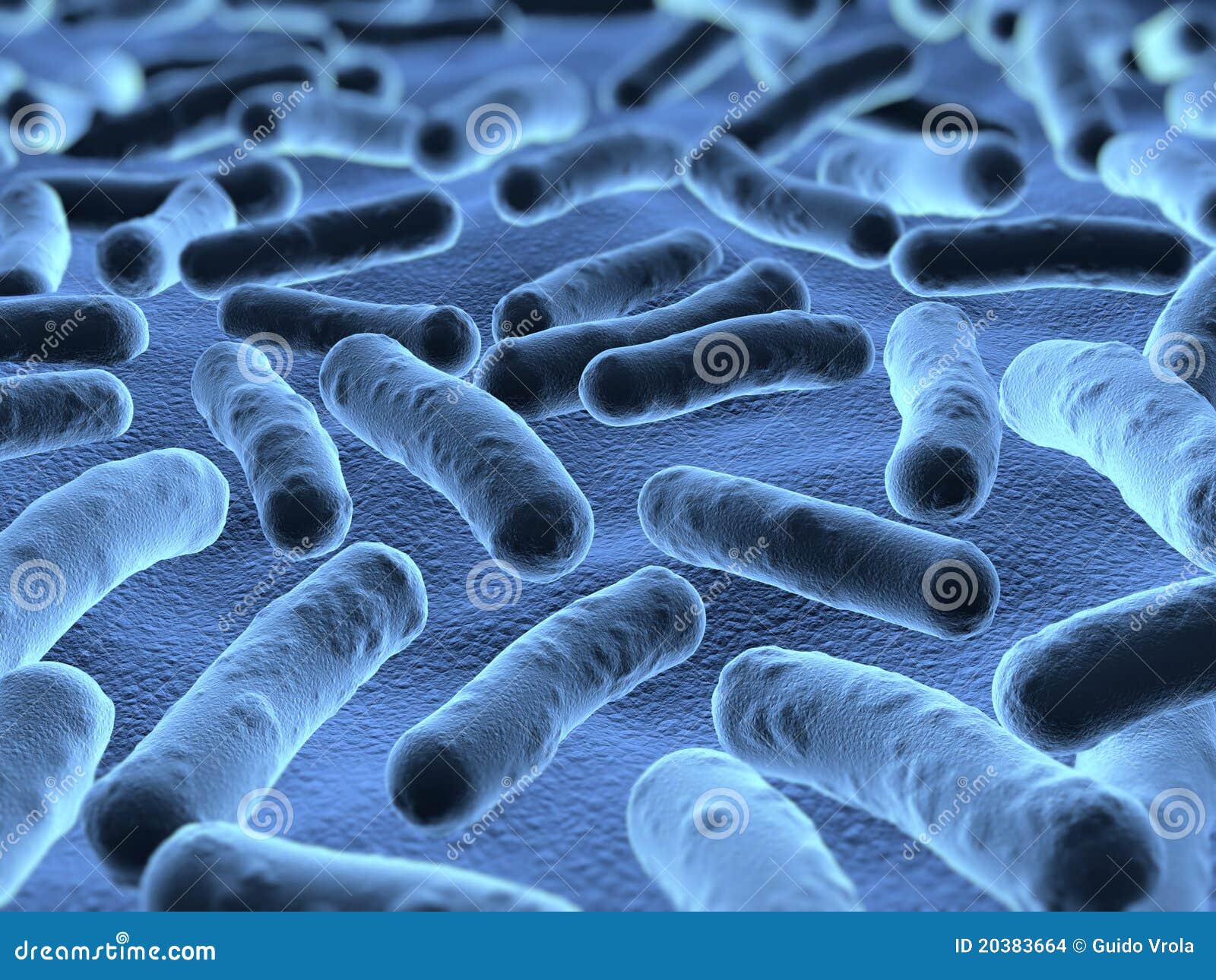 Bacterias Vistas Debajo De Un Microscopio De Exploración Stock de ...