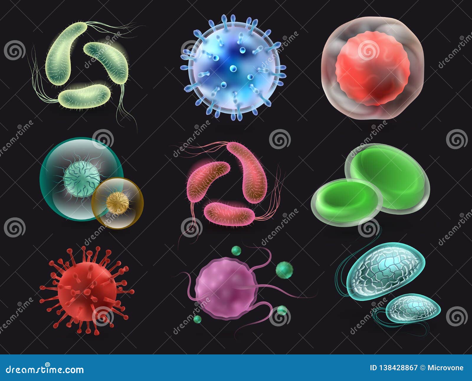 Bacteries and Viruses Vector Set, Microbiology Elements Isolated on ...