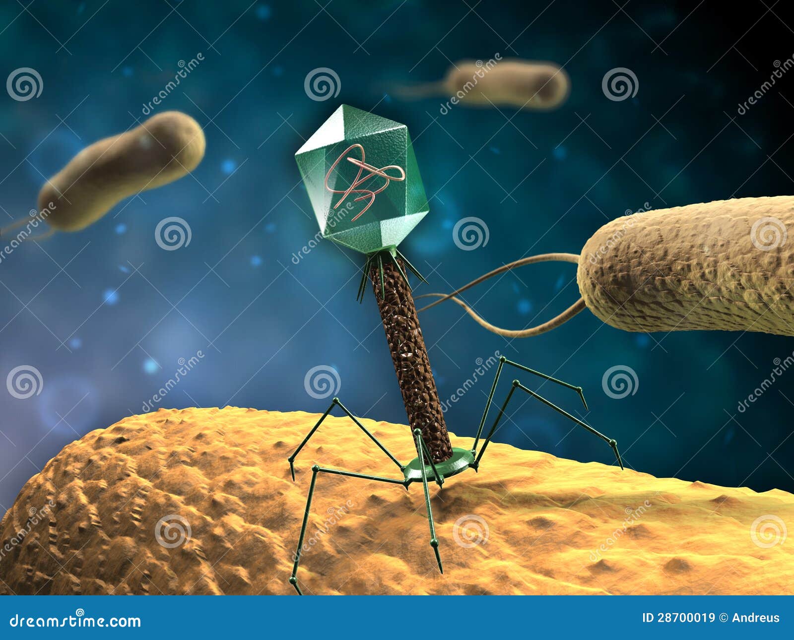 Bacteriofaag stock illustratie. Illustration of immuniteit - 28700019