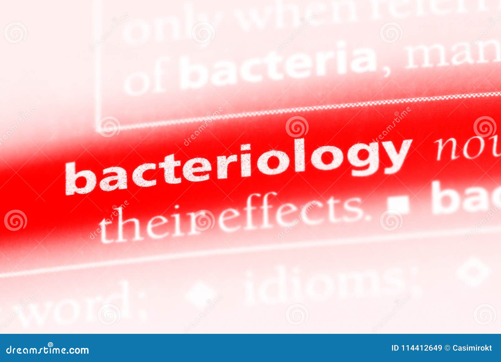 Bacteriology stock image. Image of idea, isolated, dictionary - 114412649