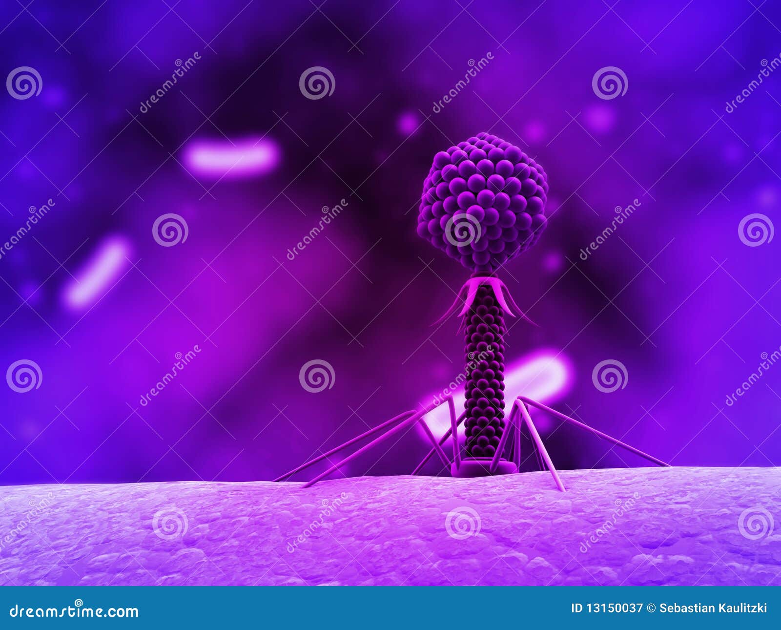 Bacteriophage stock illustration. Illustration of bacteriophage - 13150037