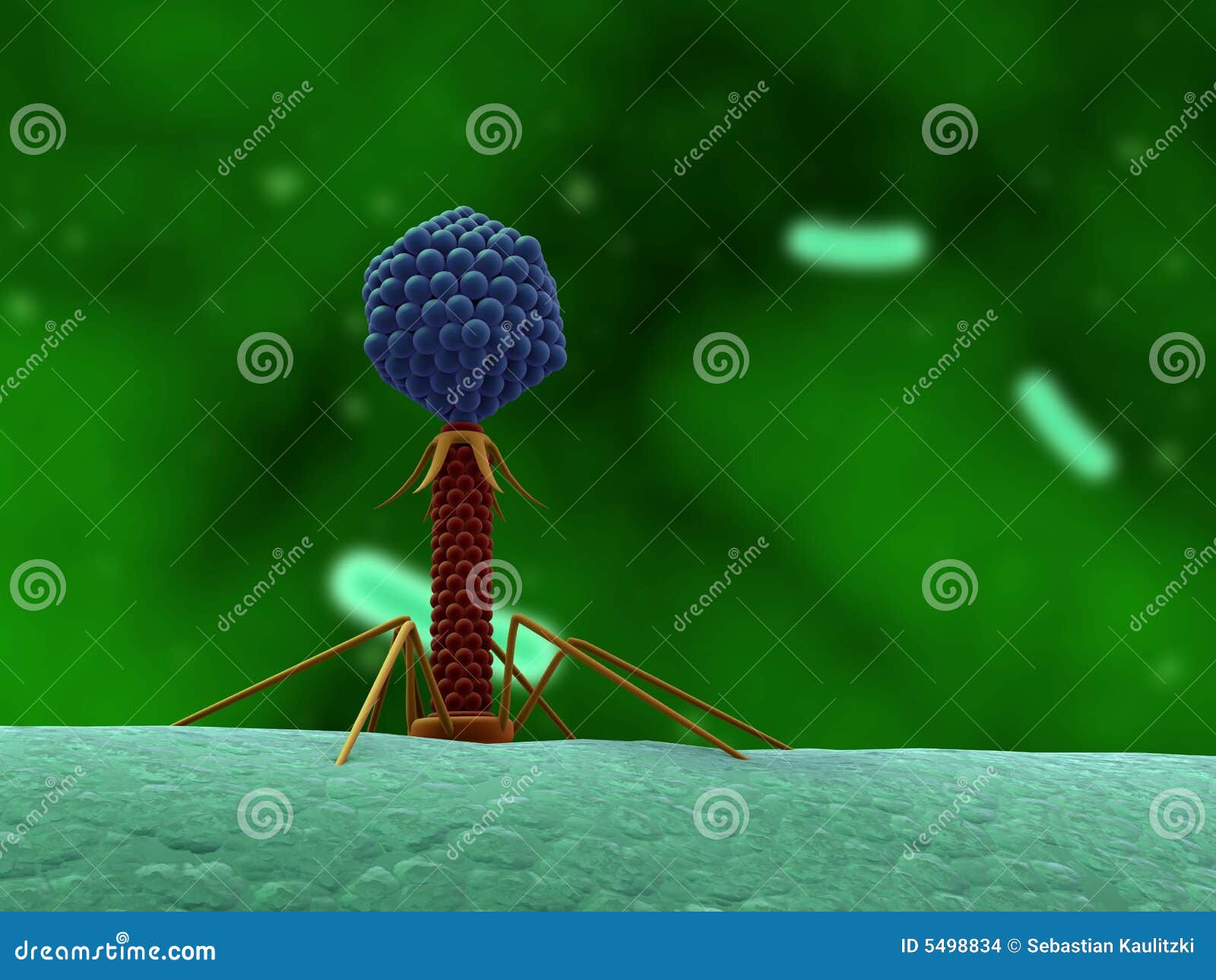 Bacteriophage stock illustration. Illustration of bacter - 5498834