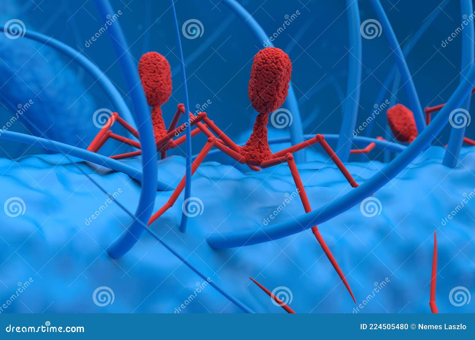 Bacteriophage Or Phage Virus Attacking And Infecting A Bacteria Royalty ...