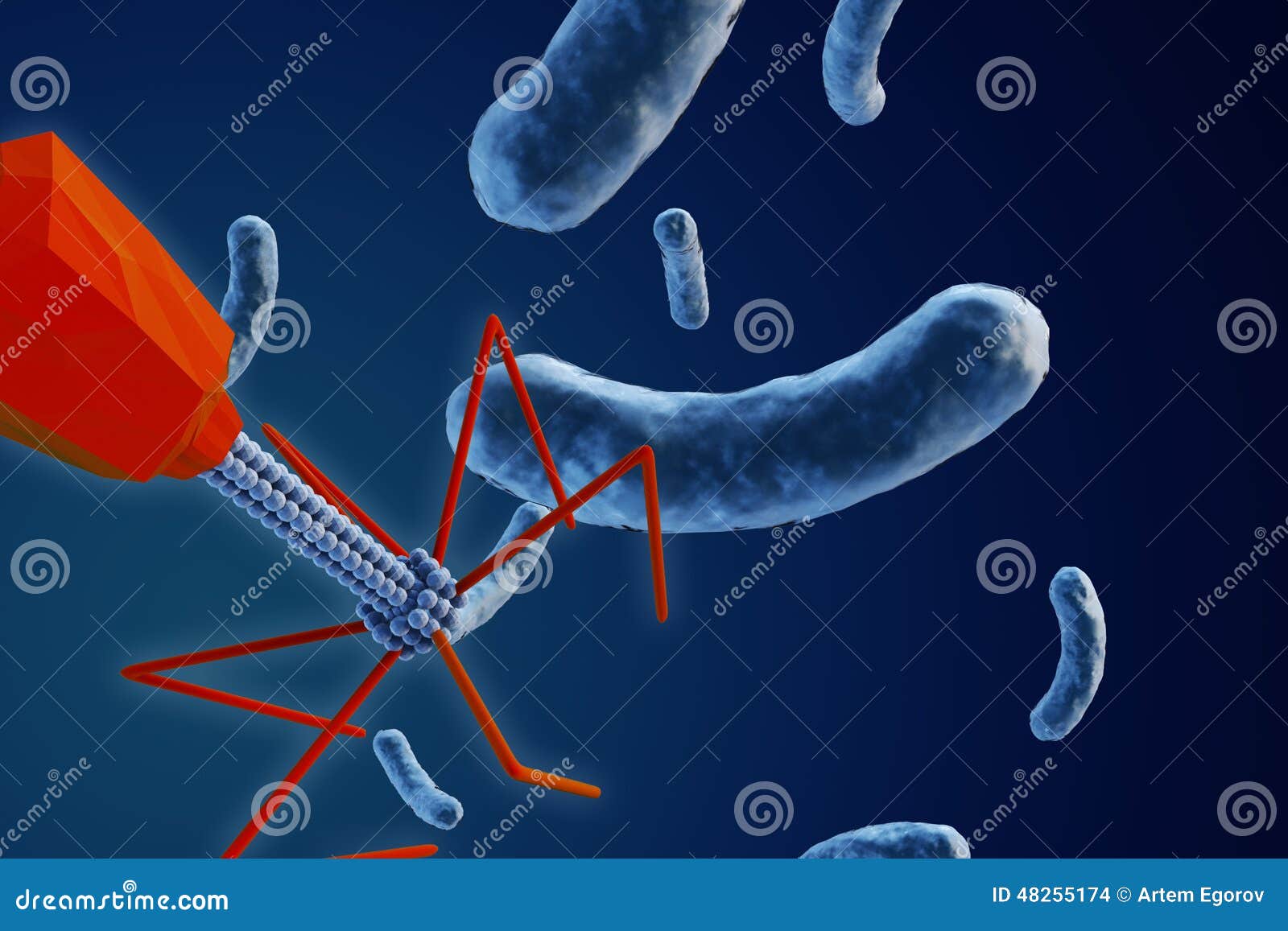 Bacteriophage Attacking Bacteria. Stock Illustration - Illustration of ...
