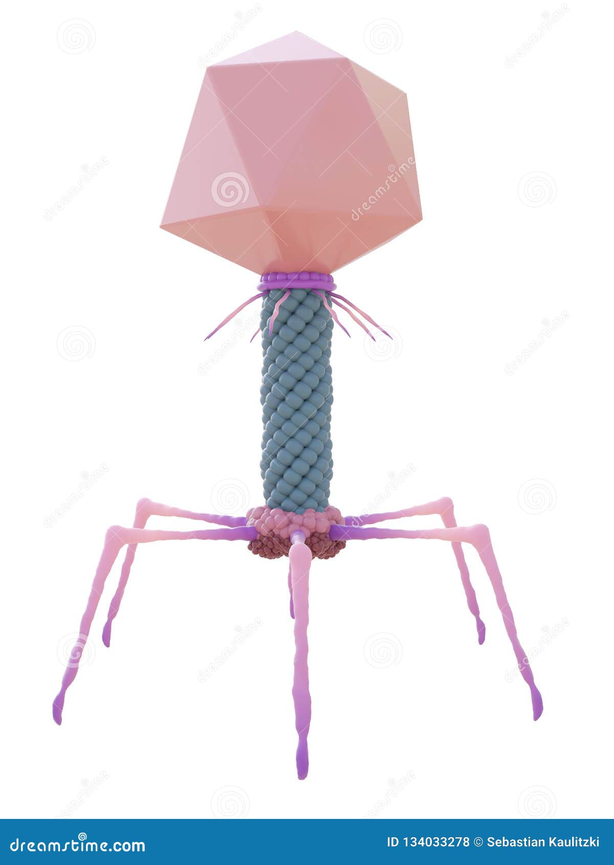 A bacteriophage stock illustration. Illustration of human - 134033278