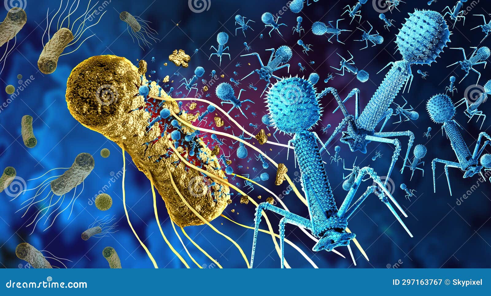 Bacteriophage and Phage Replicating Killing Bacteria Stock Illustration ...