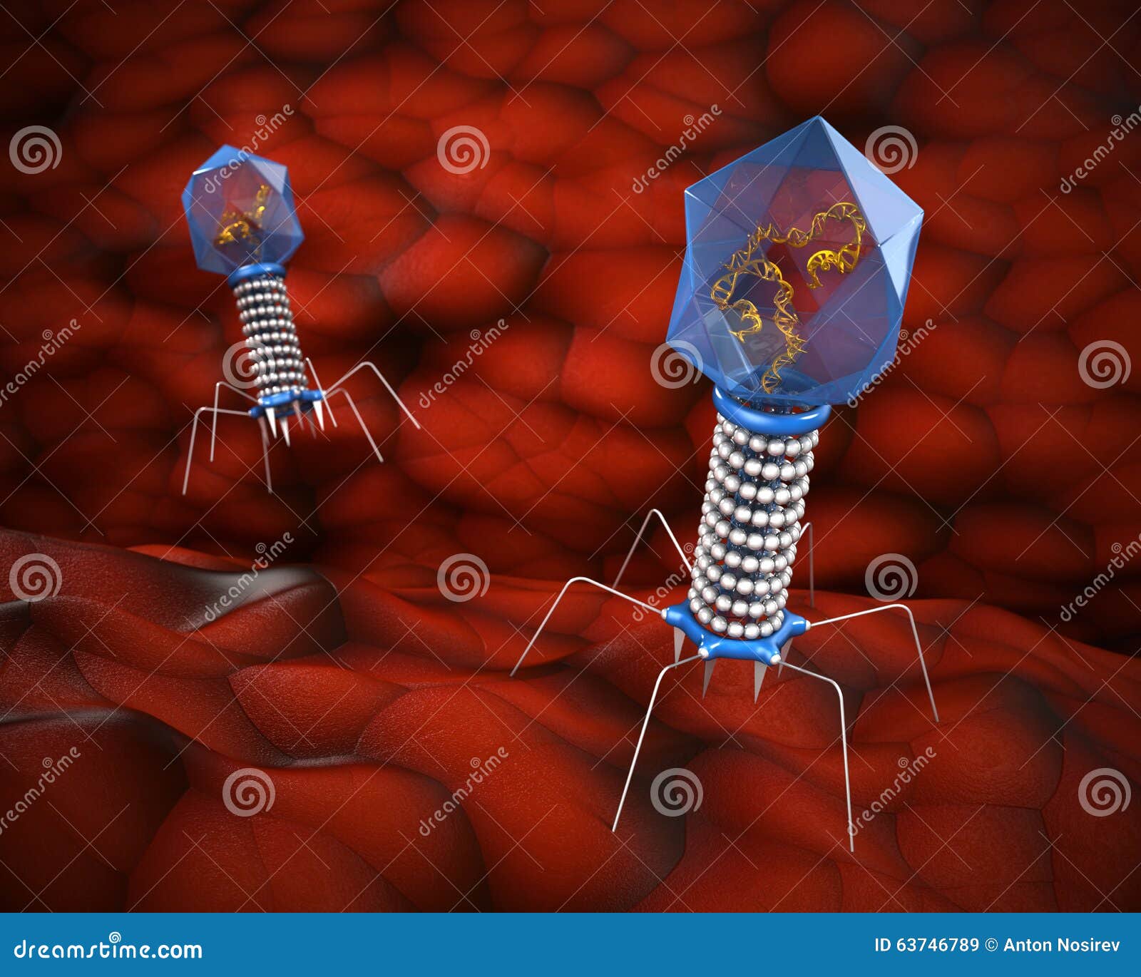 Bacteriophage Cell Culture Background In Velvet With Spikes, Dna ...