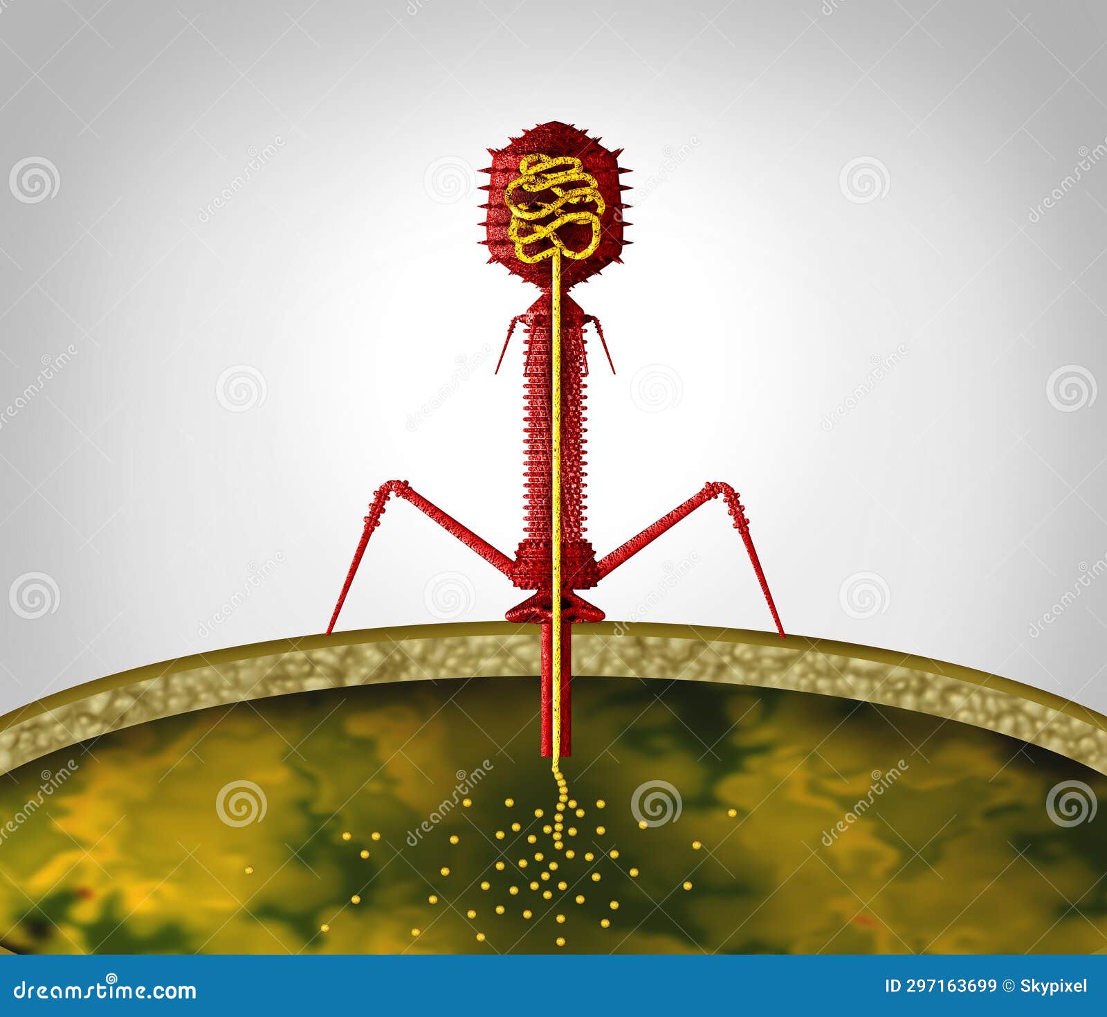 Bacteriophage Virus Cycle stock illustration. Illustration of tail ...