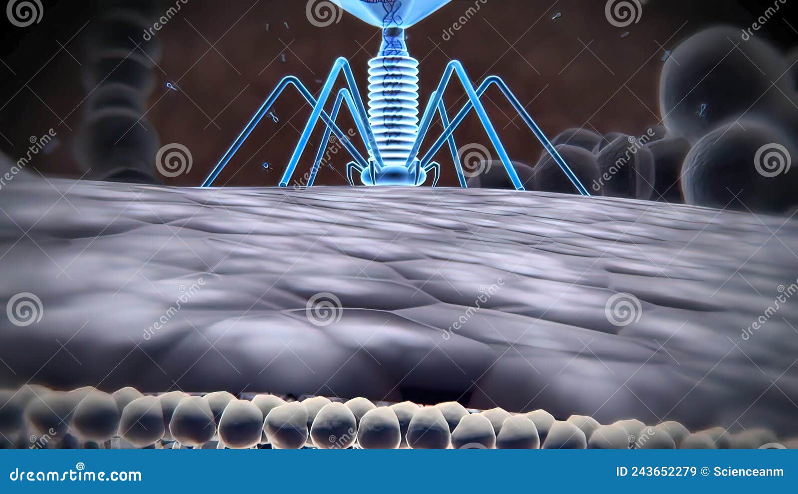 A Bacteriophage Virus Killing Bacteria by Injecting DNA To Replicate ...
