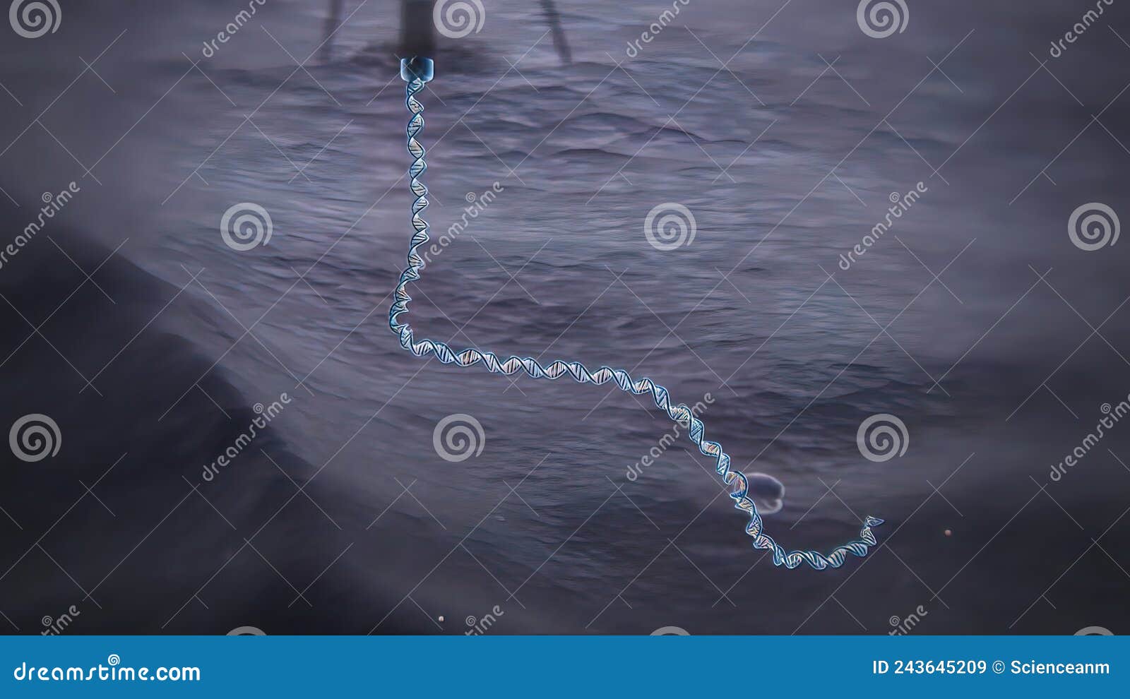 A Bacteriophage Virus Killing Bacteria by Injecting DNA To Replicate ...