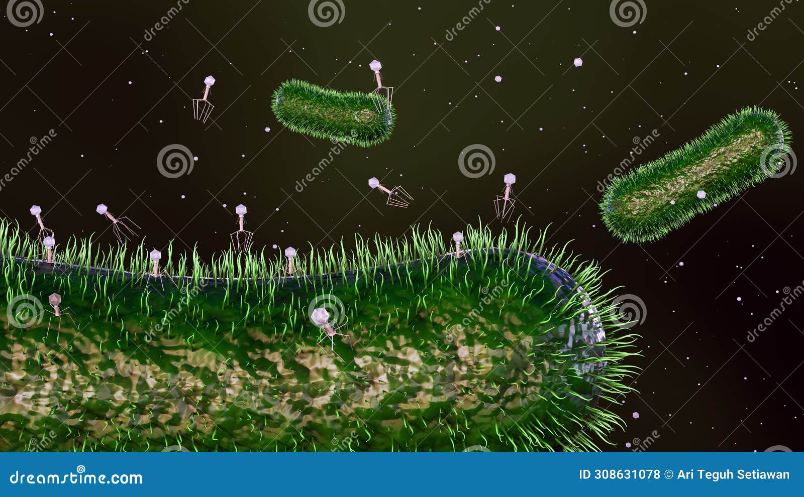 Bacteriophages That Infect And Destroy Bacteria. Stock Photography ...