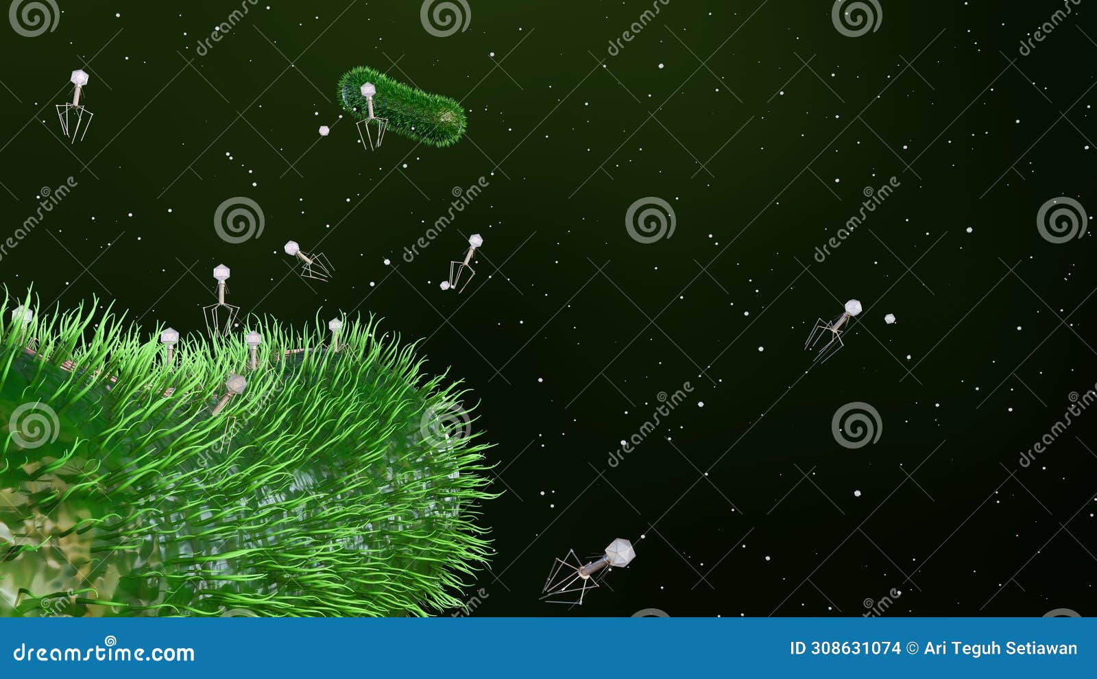 Bacteriophages that Infect and Destroy Bacteria. Stock Illustration ...