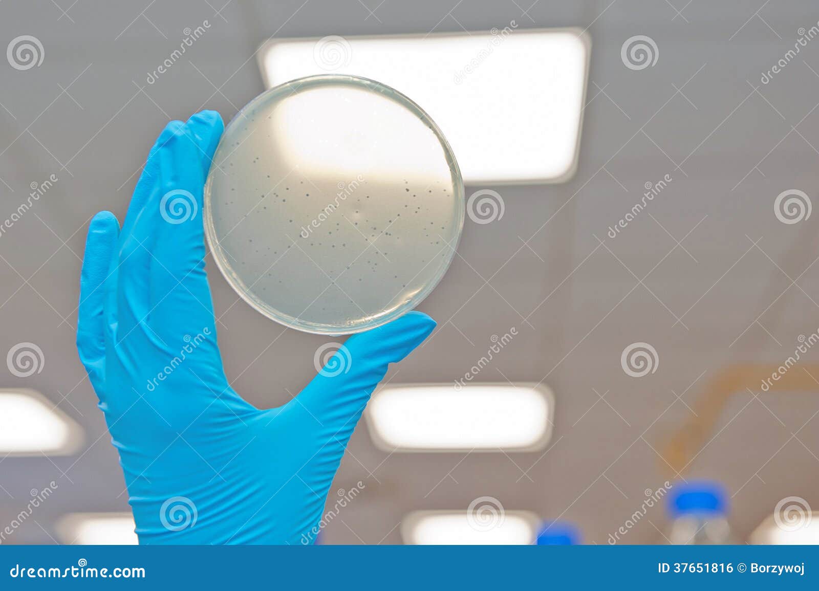 Bacteriophages in Laboratory Stock Photo - Image of germs, care: 37651816