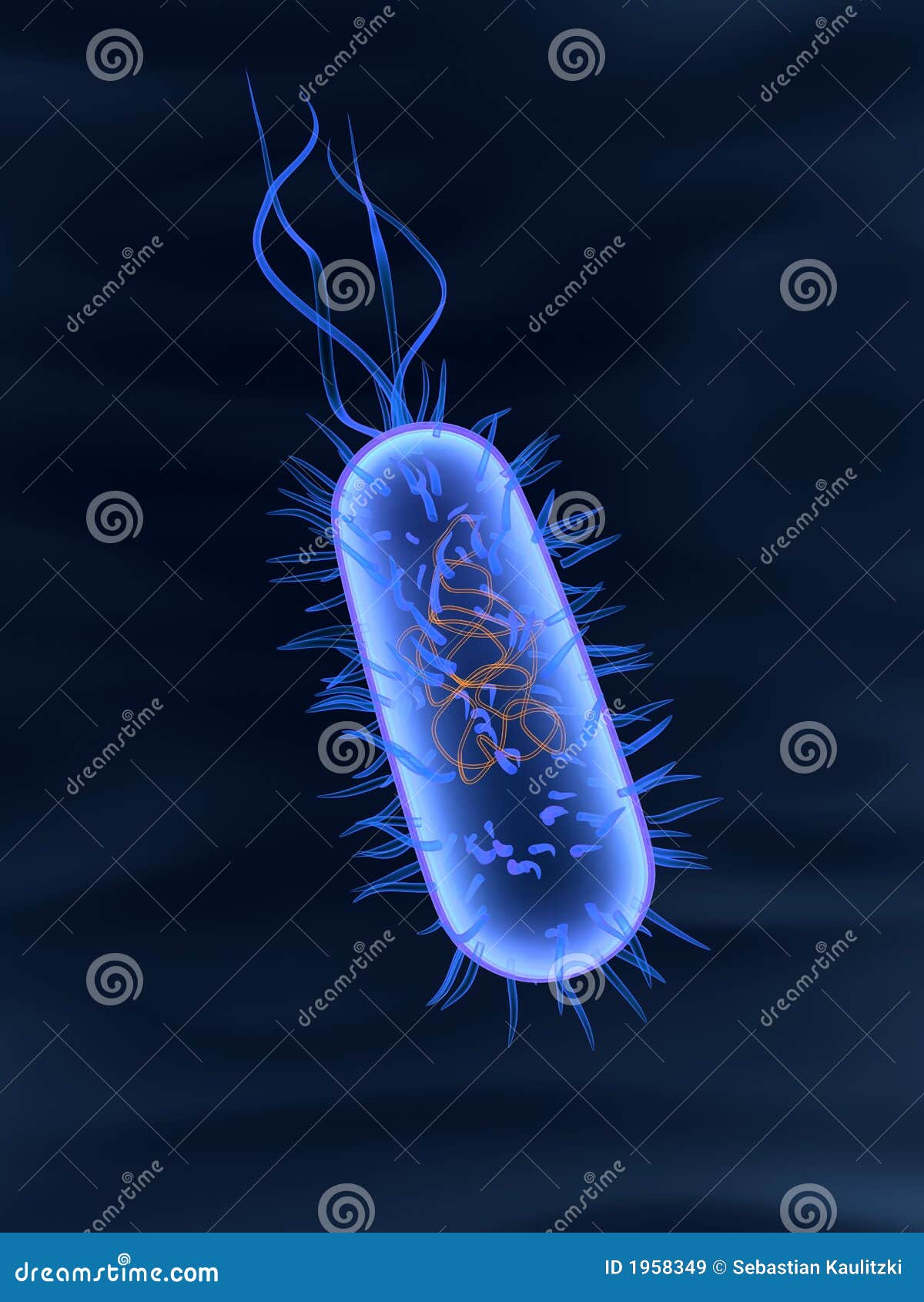 Bacterium stock illustration. Illustration of microbiology - 1958349