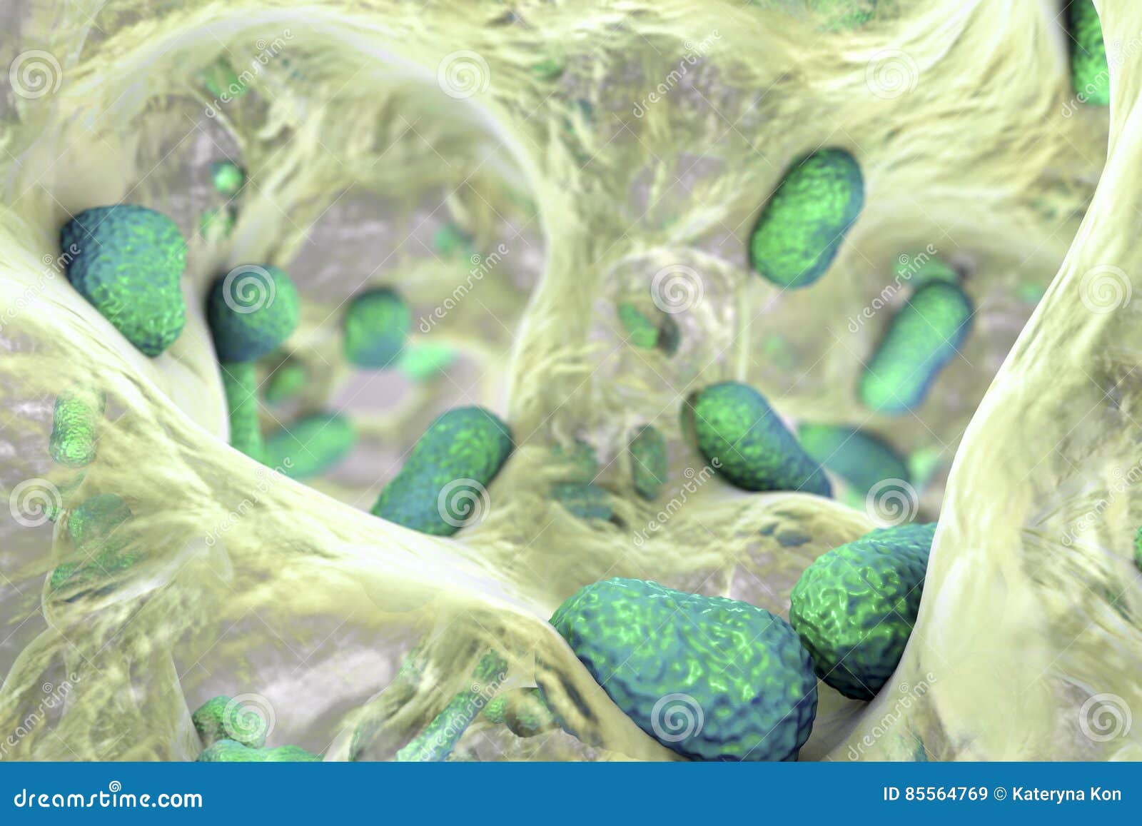 Bacterium Acinetobacter Baumannii Inside Biofilm Stock Illustration ...
