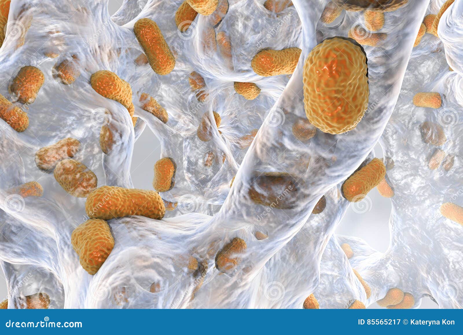 Bacterium Acinetobacter Baumannii Inside Biofilm Stock Illustration ... Bacterium Acinetobacter Baumannii Inside Biofilm Stock Illustration ...
