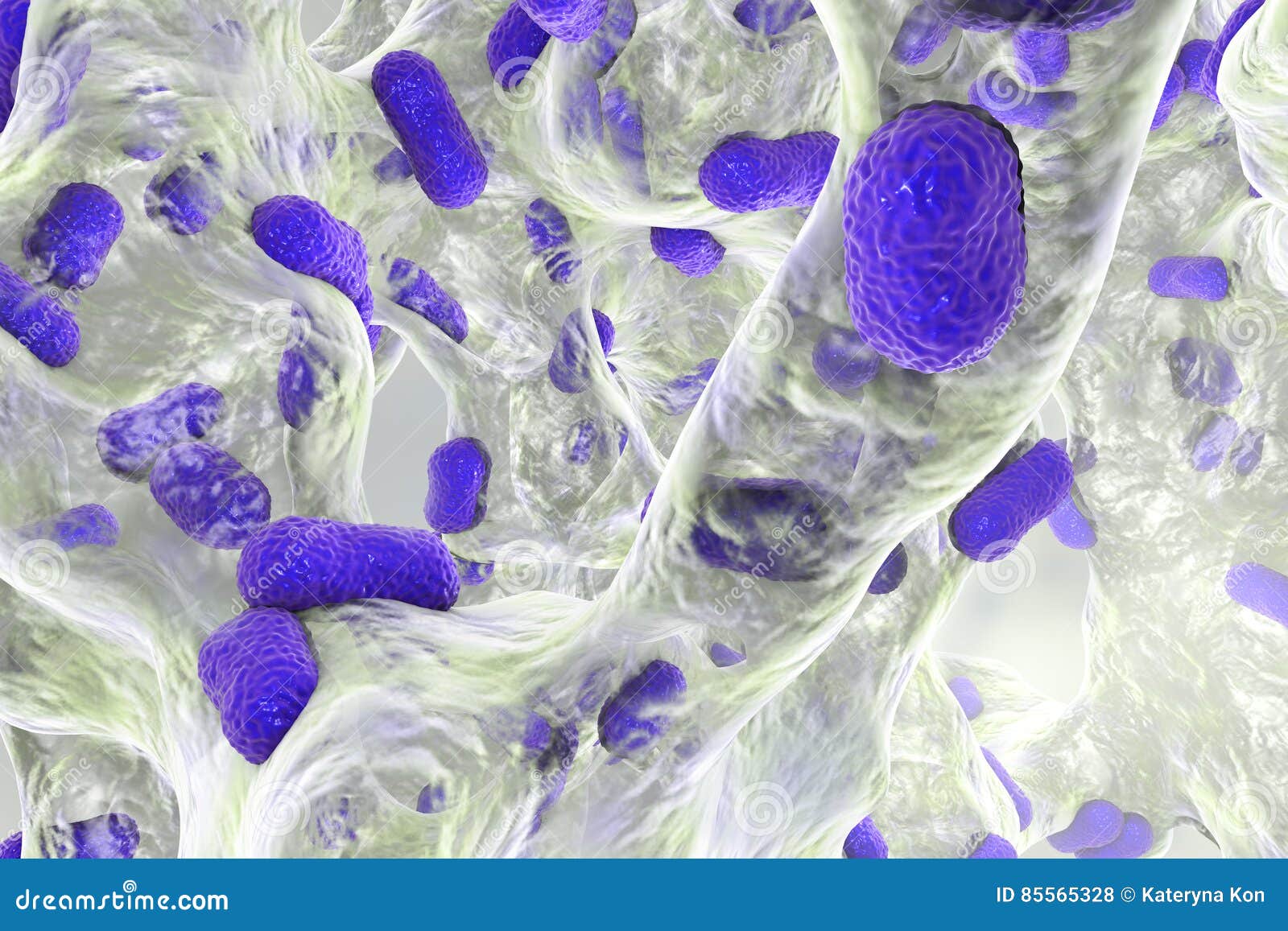 Bacterium Acinetobacter Baumannii Inside Biofilm Stock Illustration ...