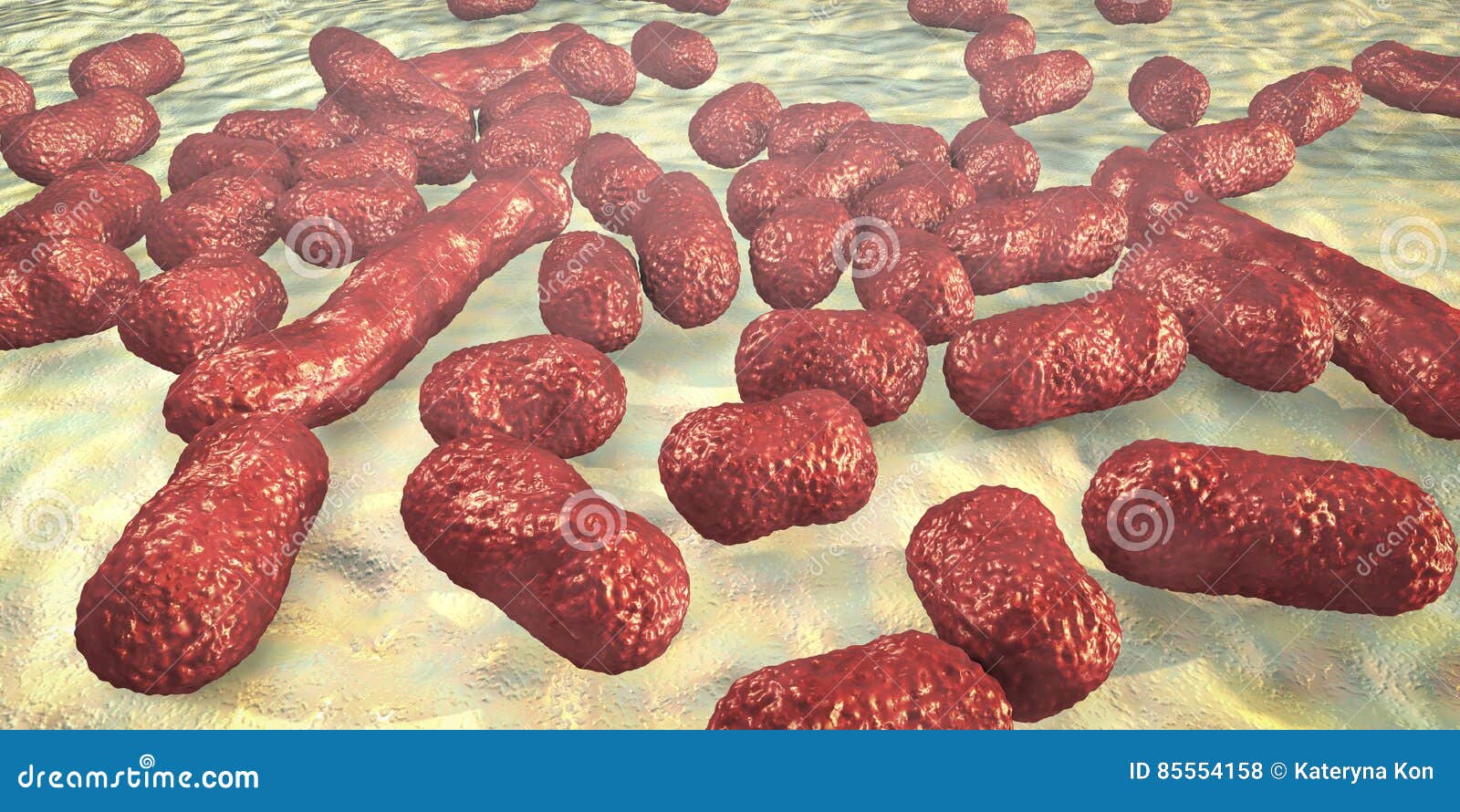 Bacterium Acinetobacter Baumannii Royalty-Free Cartoon | CartoonDealer ...