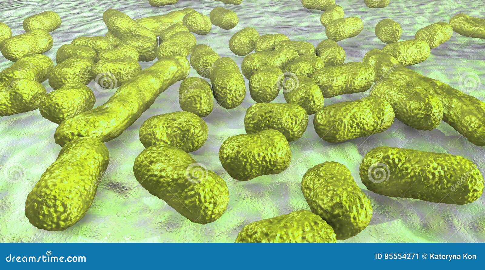 Bacterium Acinetobacter Baumannii Stock Illustration - Illustration of ... Bacterium Acinetobacter Baumannii Stock Illustration - Illustration of ...