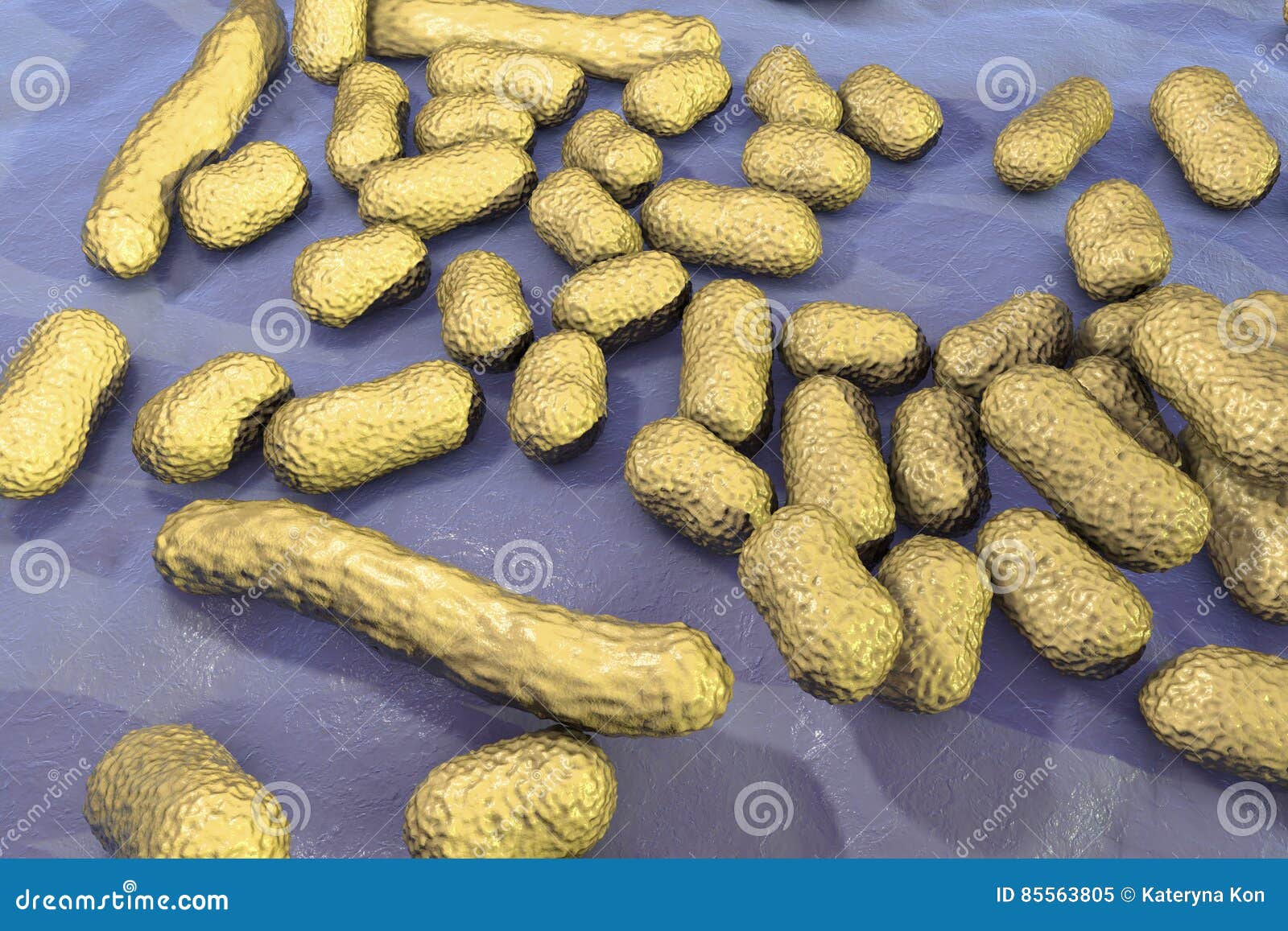 Bacterium Acinetobacter Baumannii Stock Illustration - Illustration of ... Bacterium Acinetobacter Baumannii Stock Illustration - Illustration of ...