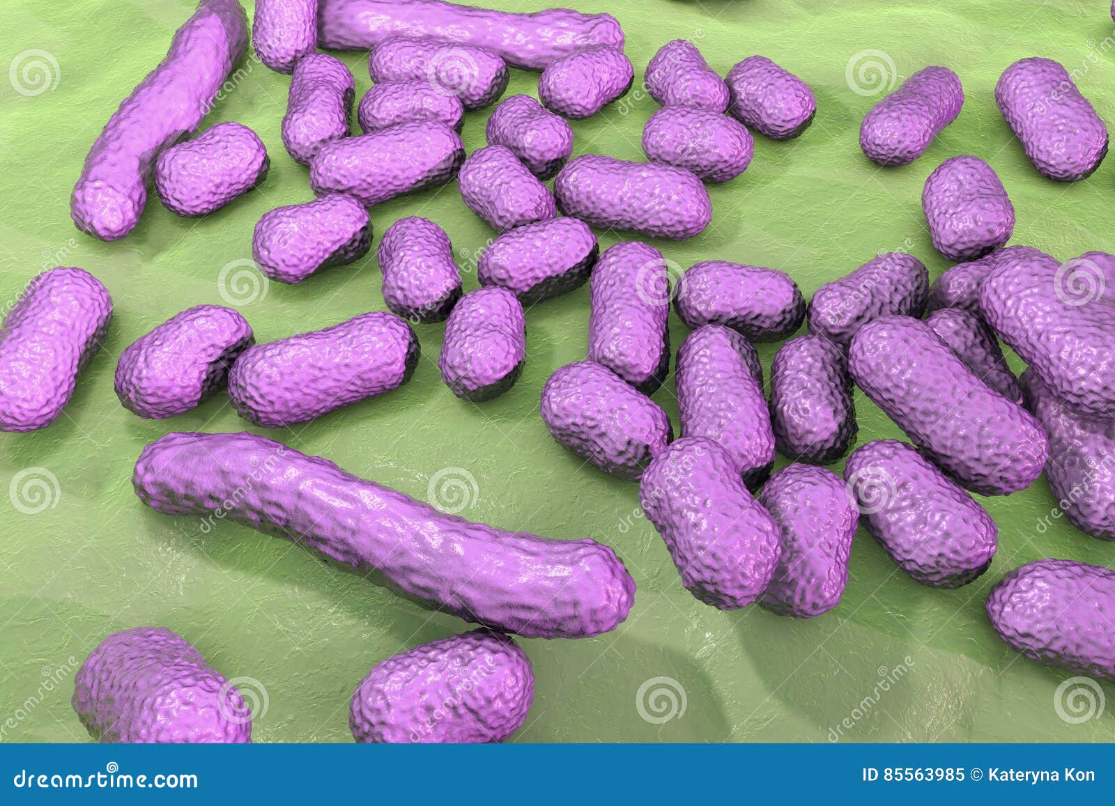 Bacterium Acinetobacter Baumannii Inside Biofilm Stock Illustration ... Bacterium Acinetobacter Baumannii Inside Biofilm Stock Illustration ...