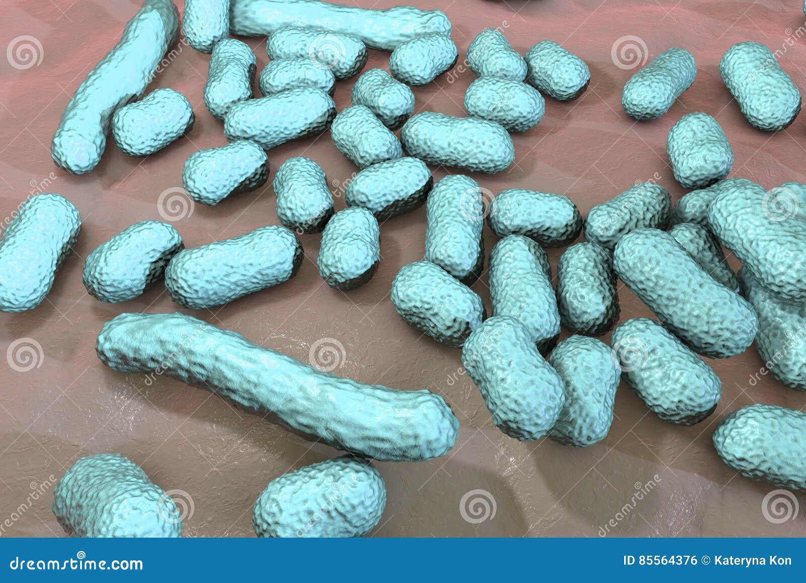 Bacterium Acinetobacter Baumannii Stock Illustration - Illustration of ... Bacterium Acinetobacter Baumannii Stock Illustration - Illustration of ...