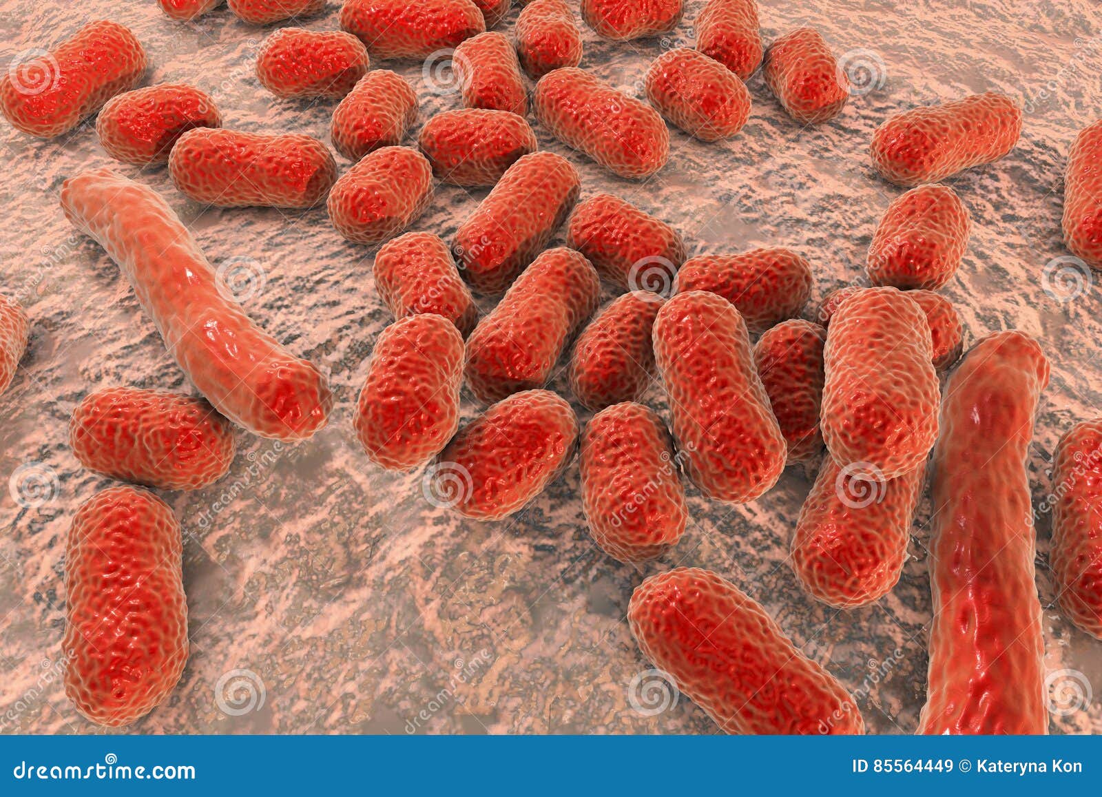 Bacterium Acinetobacter Baumannii Stock Illustration - Illustration of ...