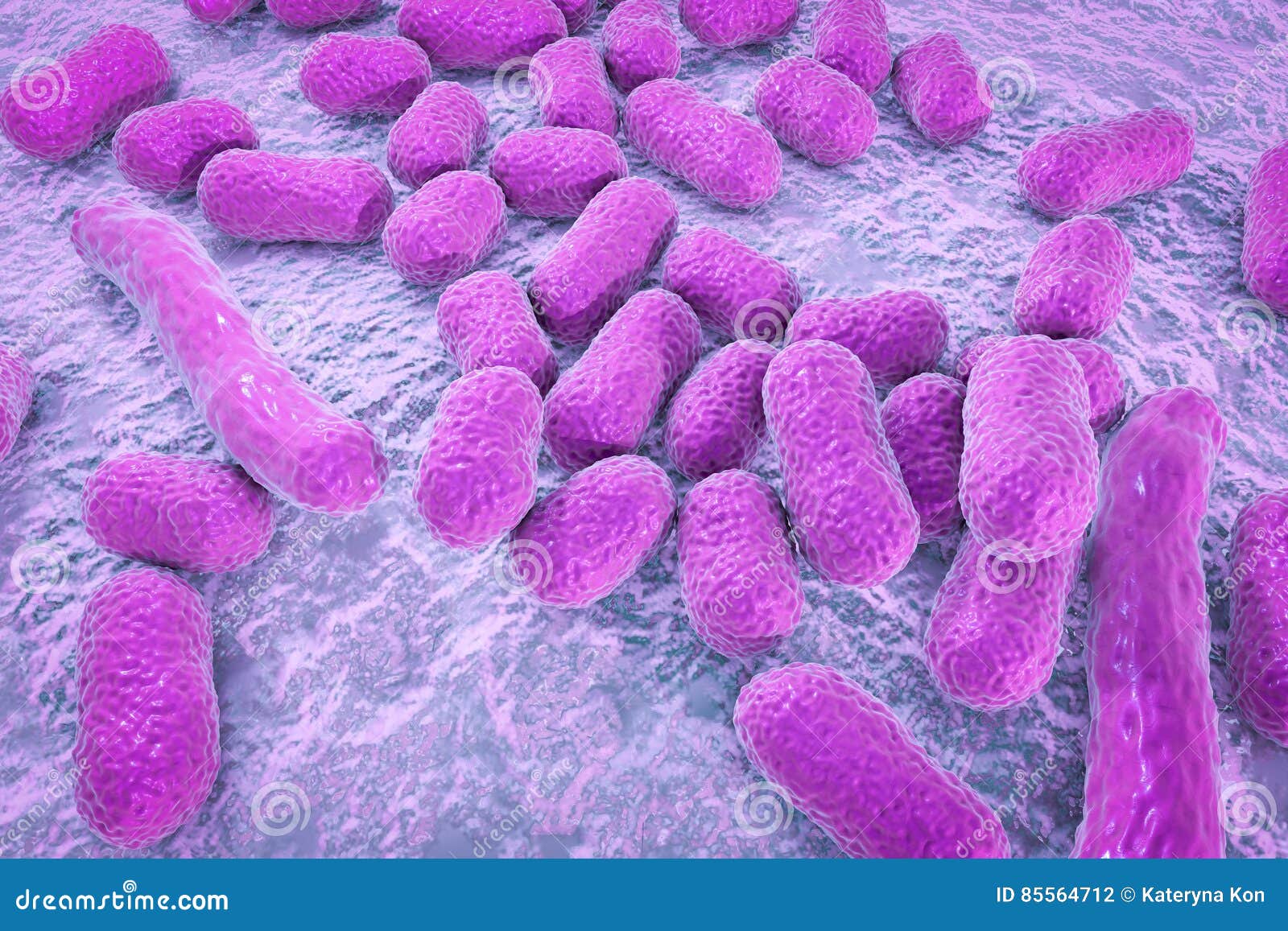 Bacterium Acinetobacter Baumannii Inside Biofilm Royalty-Free ... Bacterium Acinetobacter Baumannii Inside Biofilm Royalty-Free ...