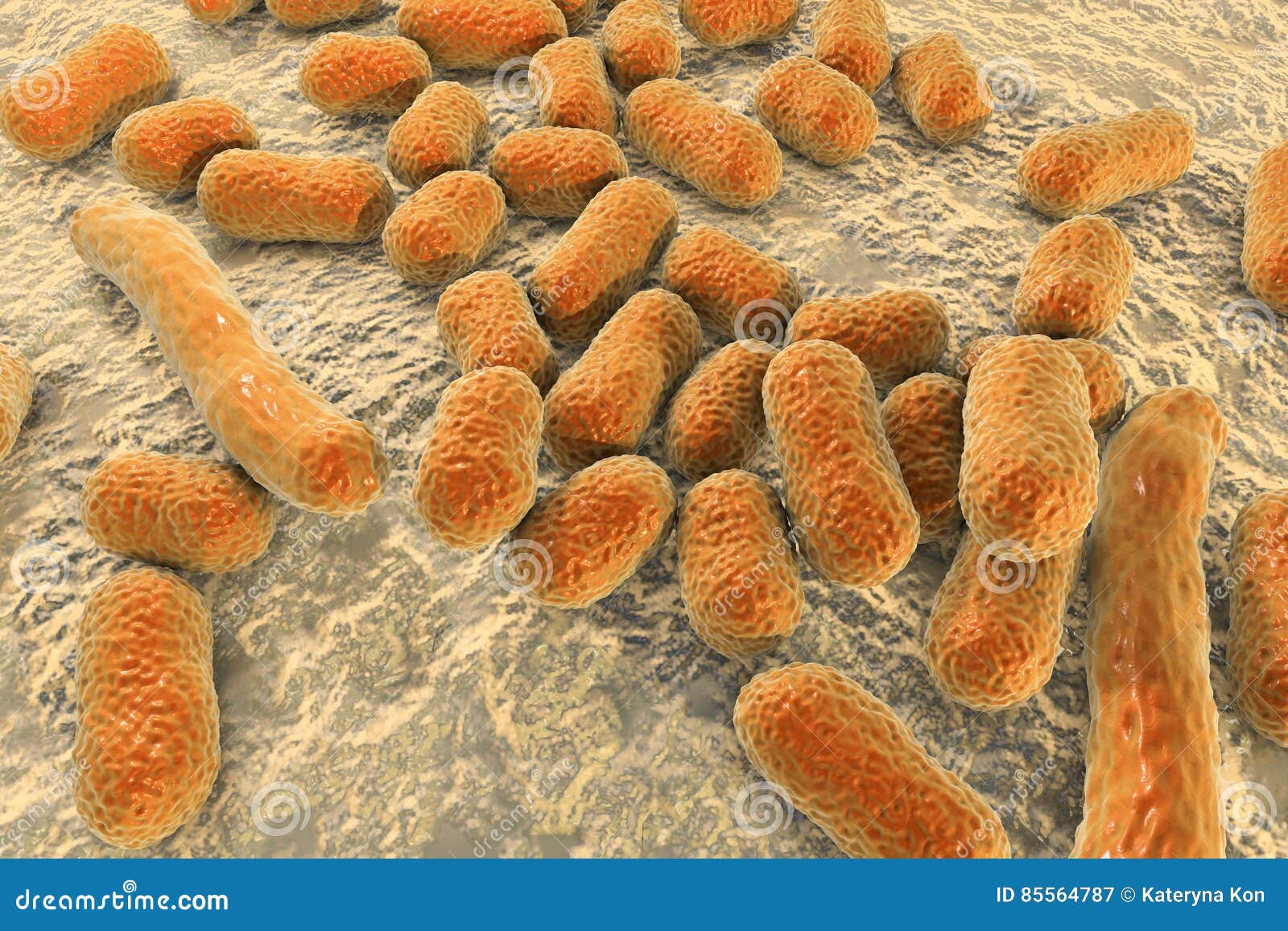 Bacterium Acinetobacter Baumannii Stock Illustration - Illustration of ... Bacterium Acinetobacter Baumannii Stock Illustration - Illustration of ...