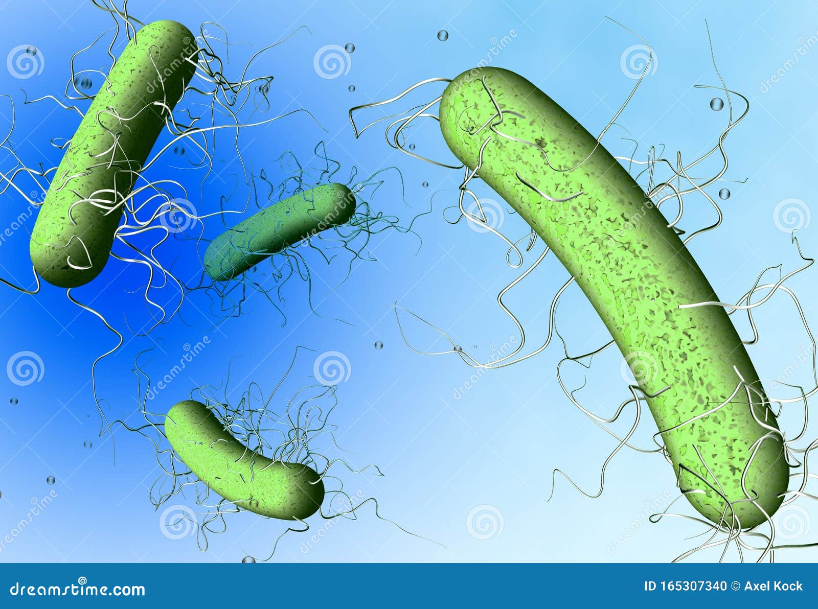 Bacterium Clostridium Difficile, Scientific 3D Illustration Stock ...